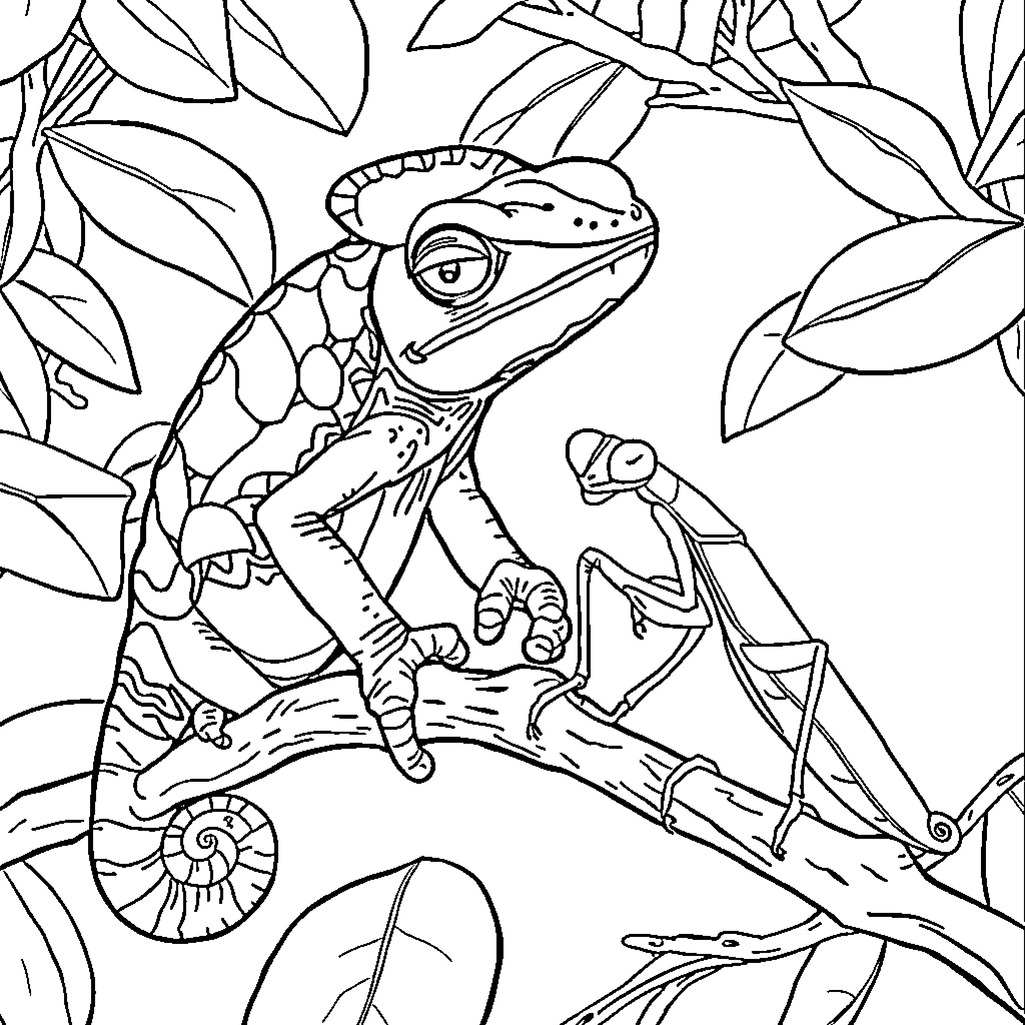 Best Chameleon Coloring Pages (Free Printable PDF)