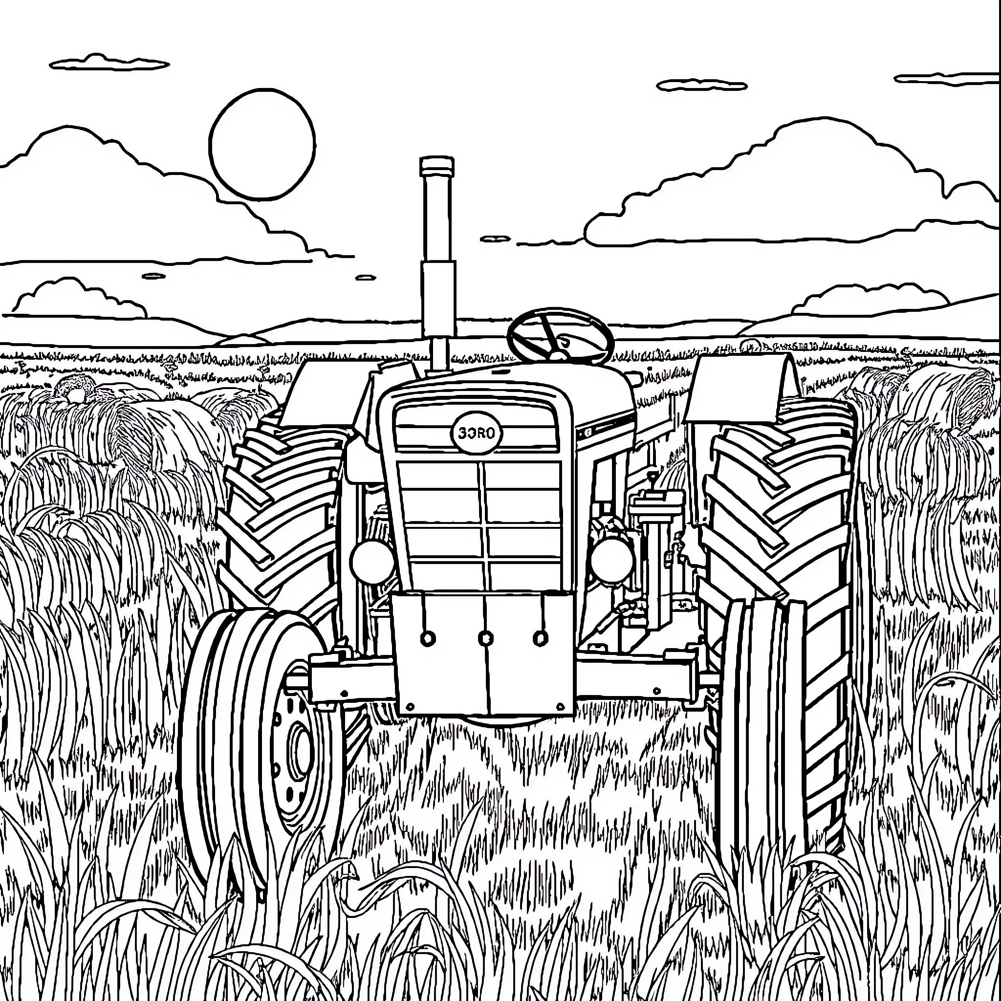 Best Micronesian Flag Coloring Pages (Free Printable PDF)