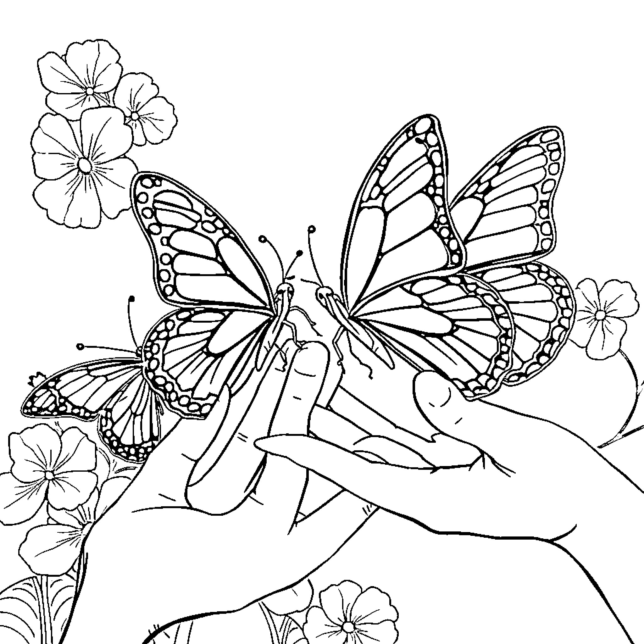 Best Mariposa Coloring Pages (Free Printable PDF)