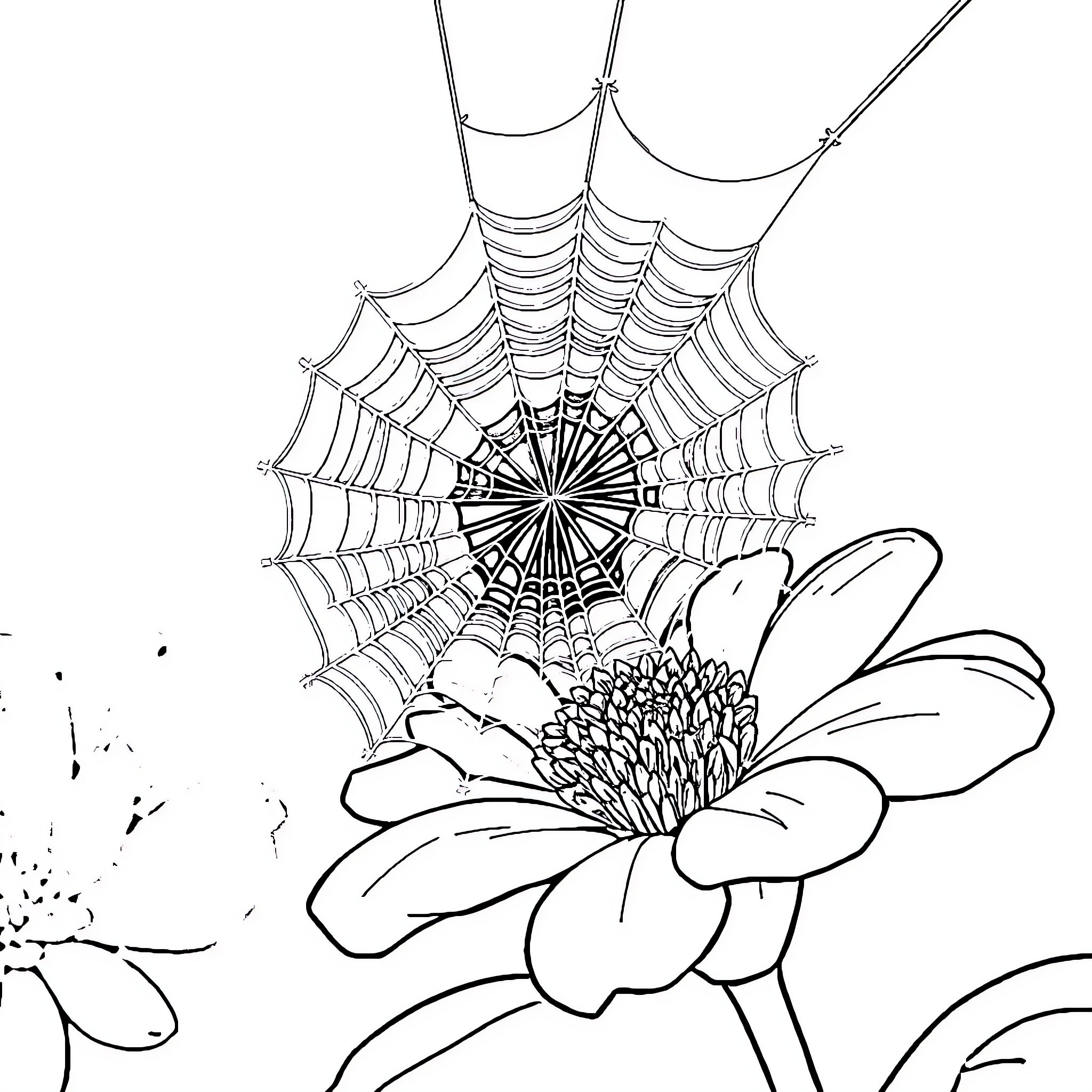 1 Best Uconn Coloring Pages (Free Printable PDFs)