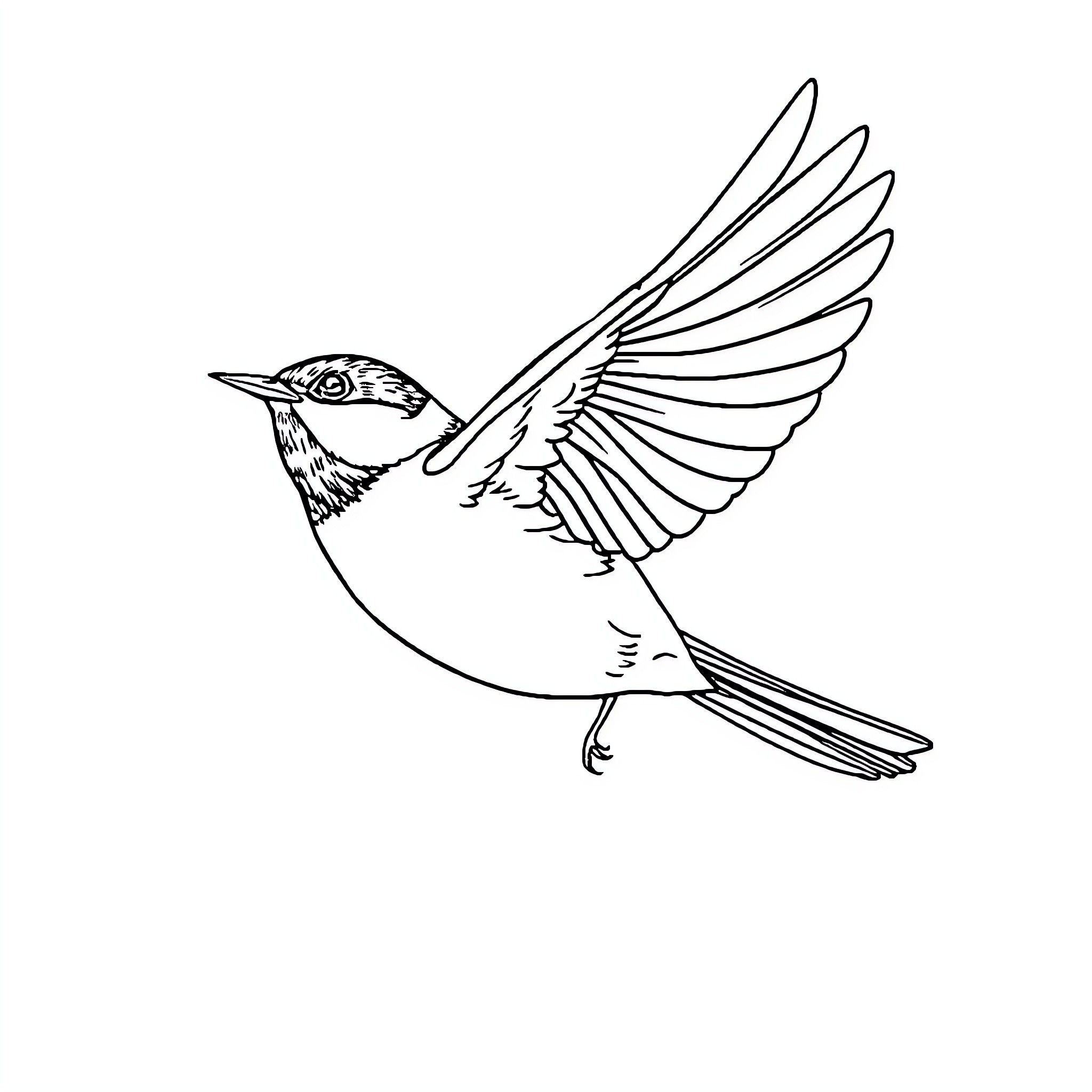 2 Best Teckel Coloring Pages (Free Printable PDFs)