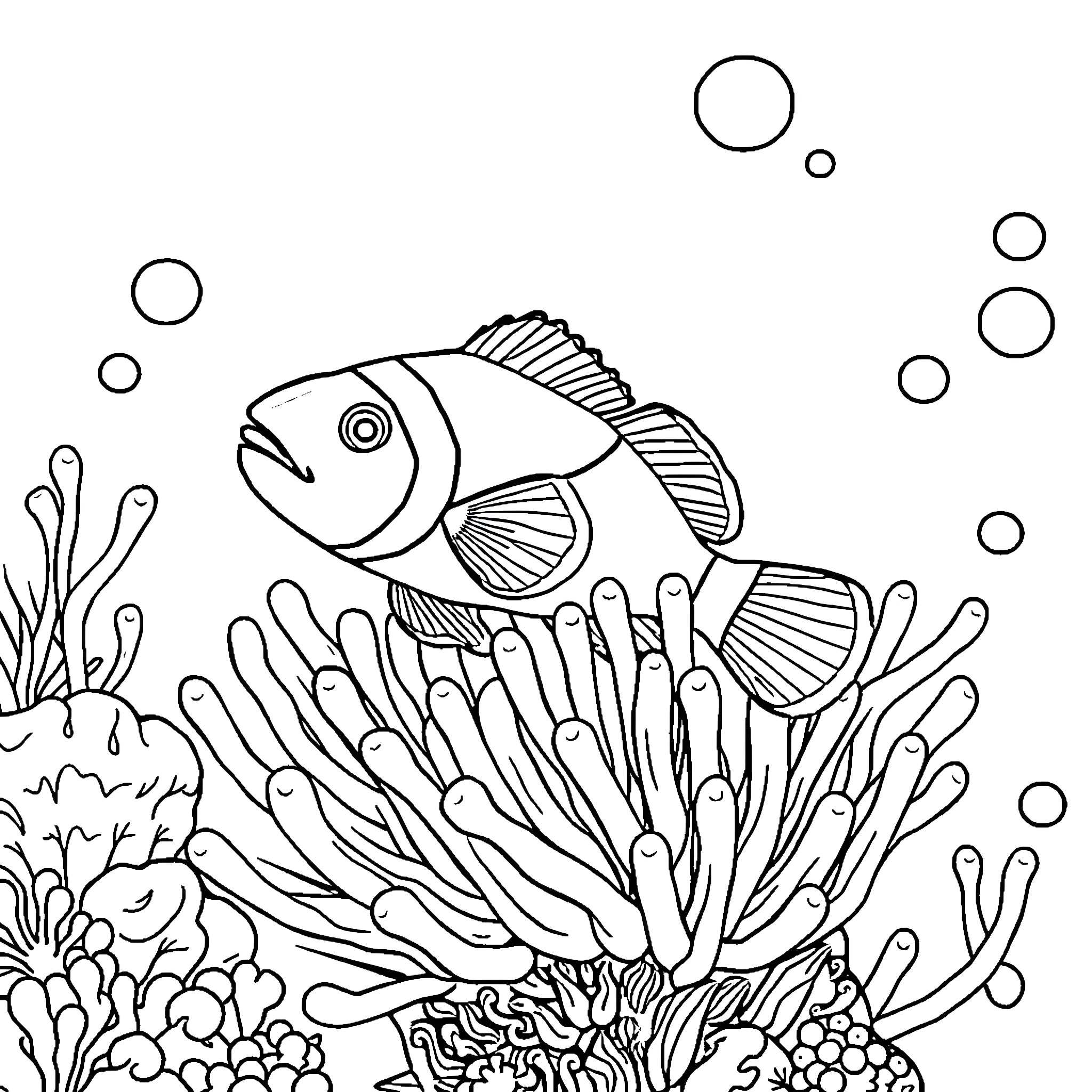 Best Clownfish Coloring Pages (Free Printable PDF)