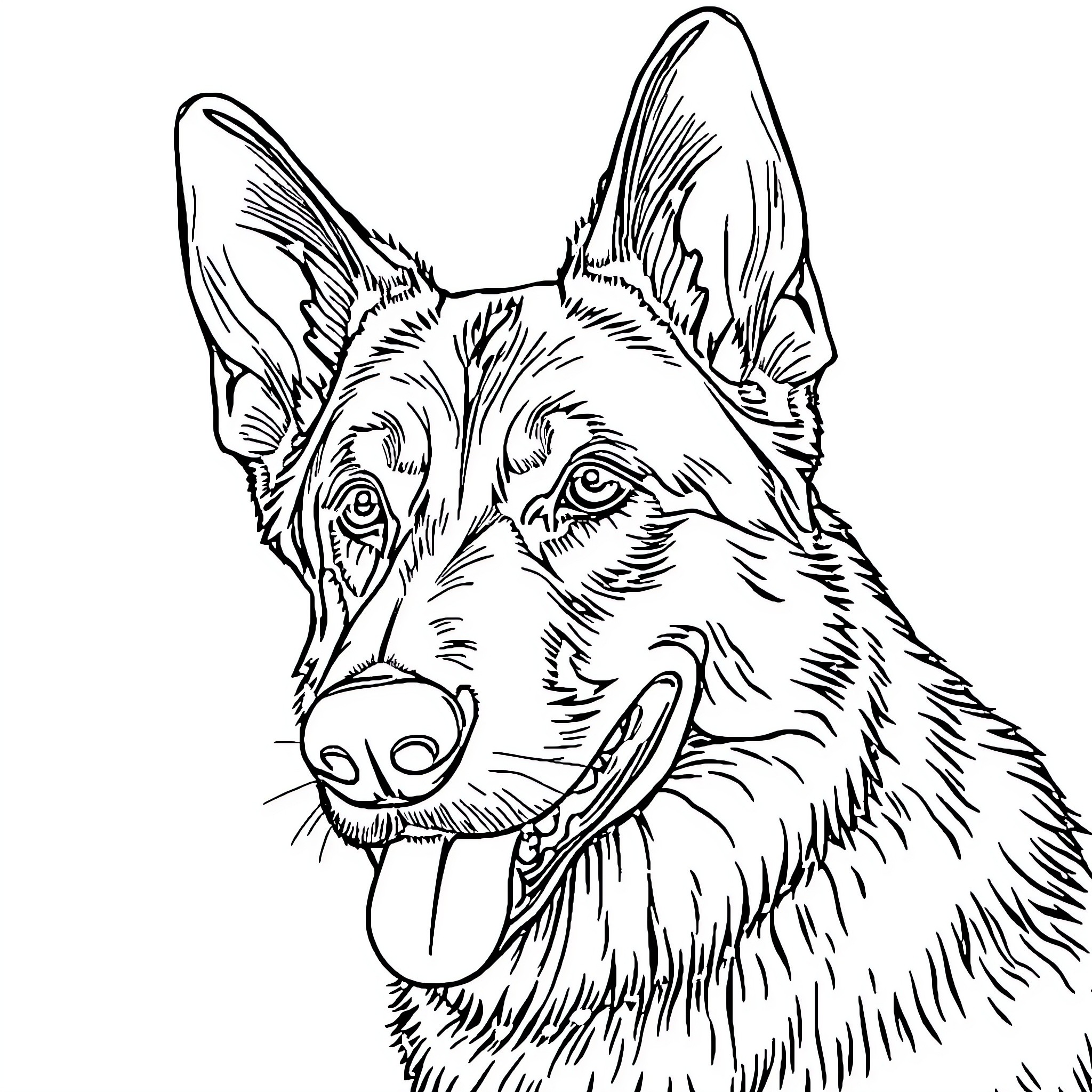 Best Congratulations Coloring Pages (Free Printable PDF)