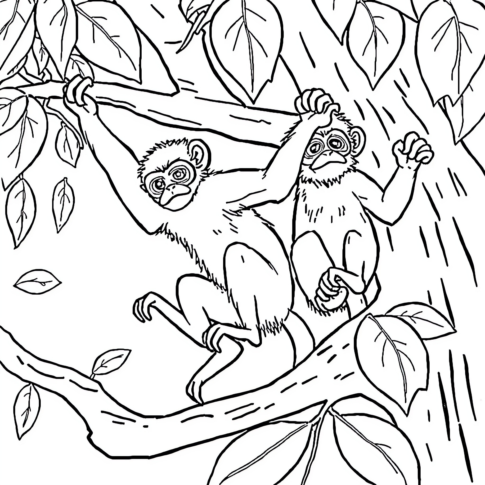 2 Best Capuchin Coloring Pages (Free Printable PDFs)