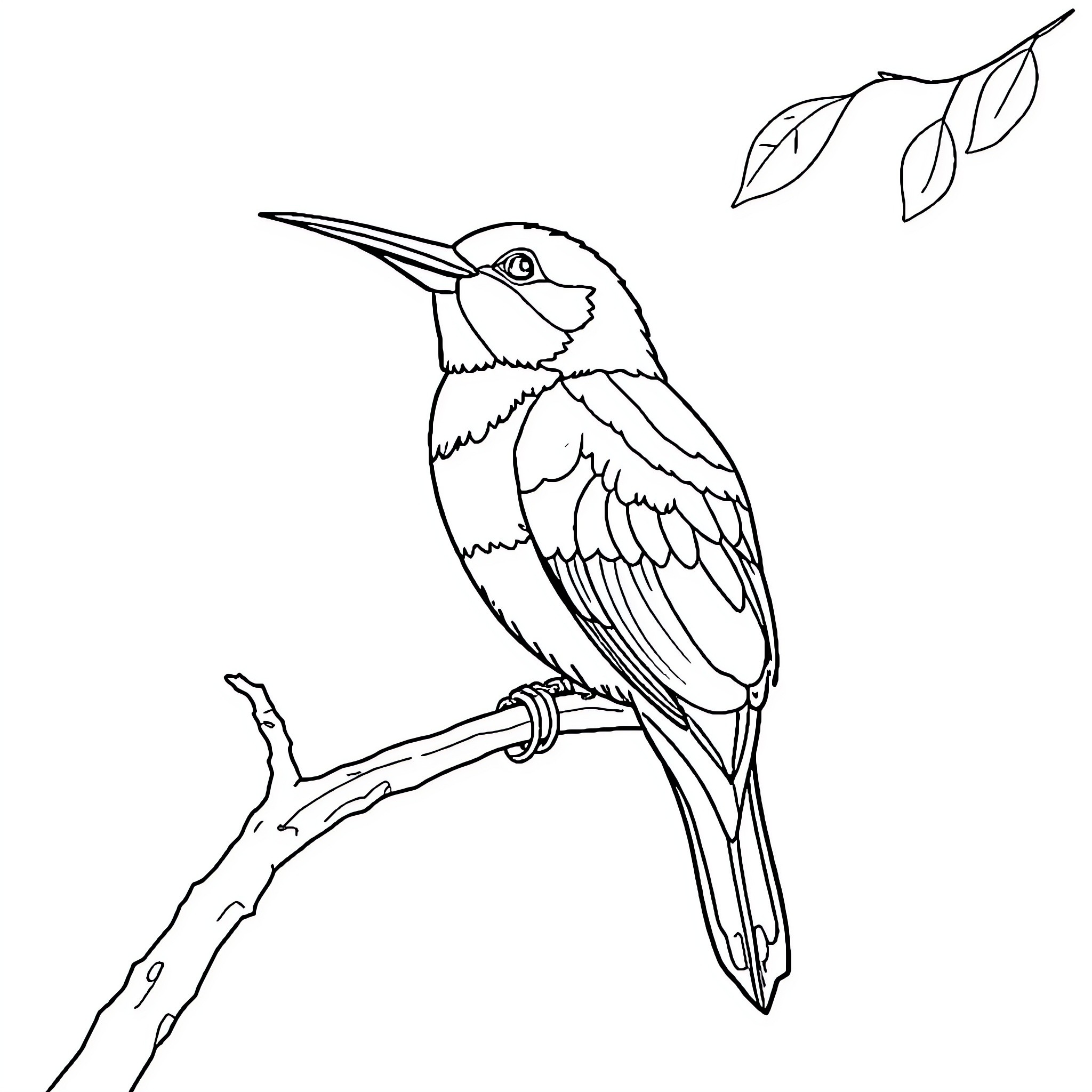 Best Bird Coloring Pages (Free Printable PDF)