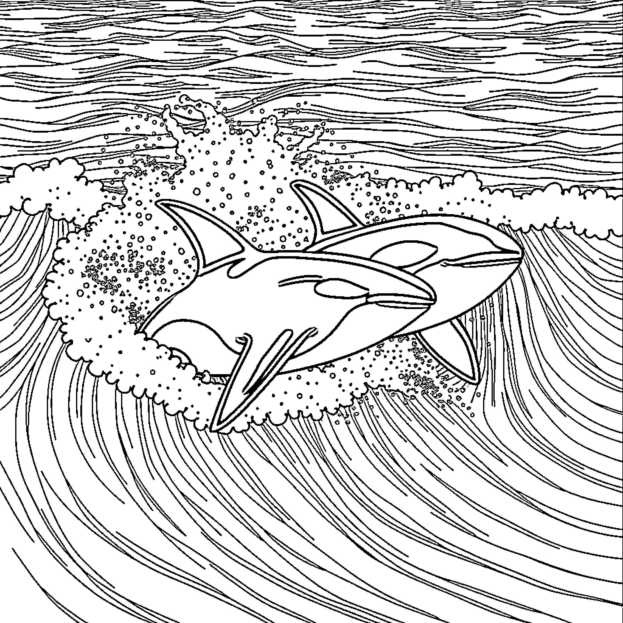 Best Orca Coloring Pages (Free Printable PDF)