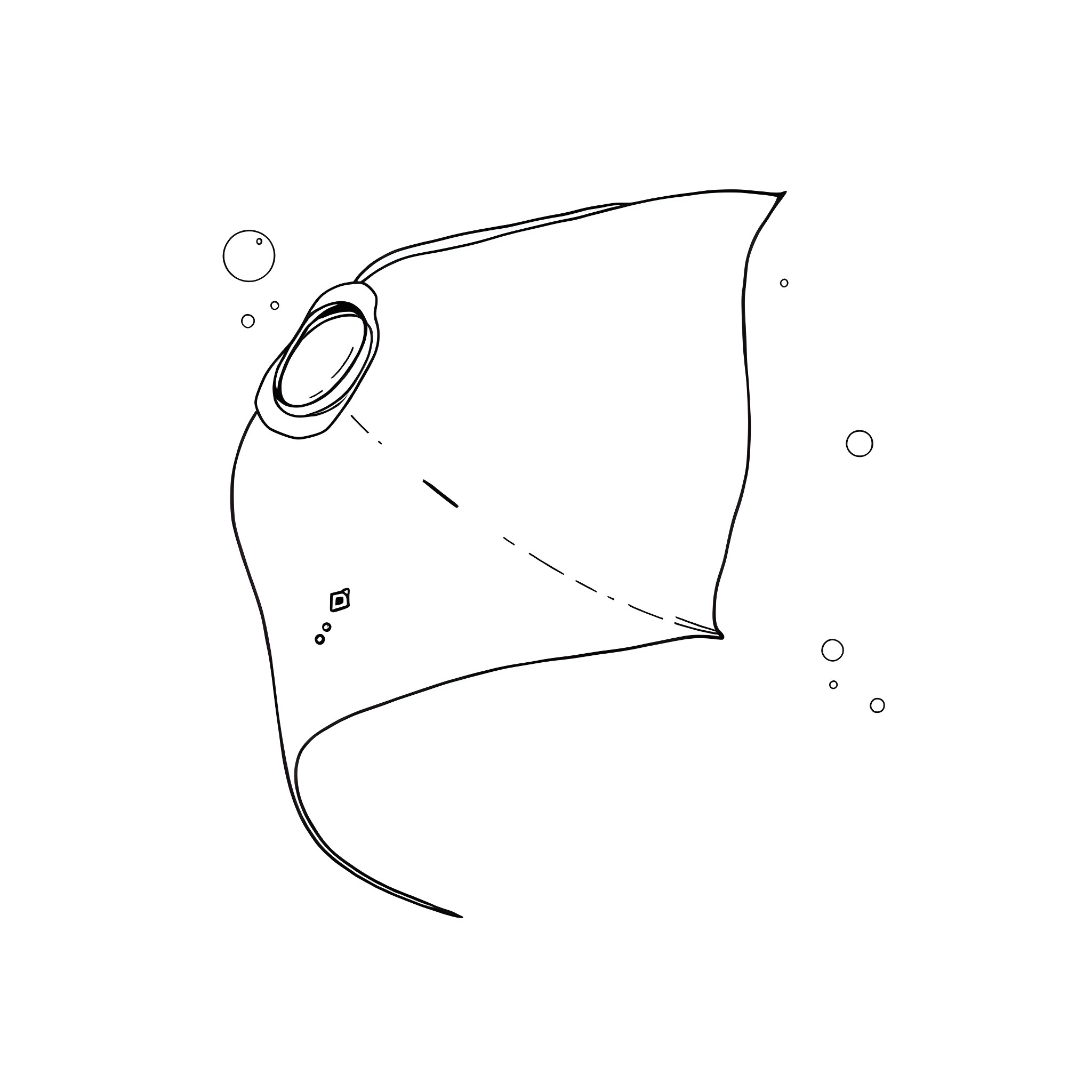 Best Manta Ray Coloring Pages (Free Printable PDF)