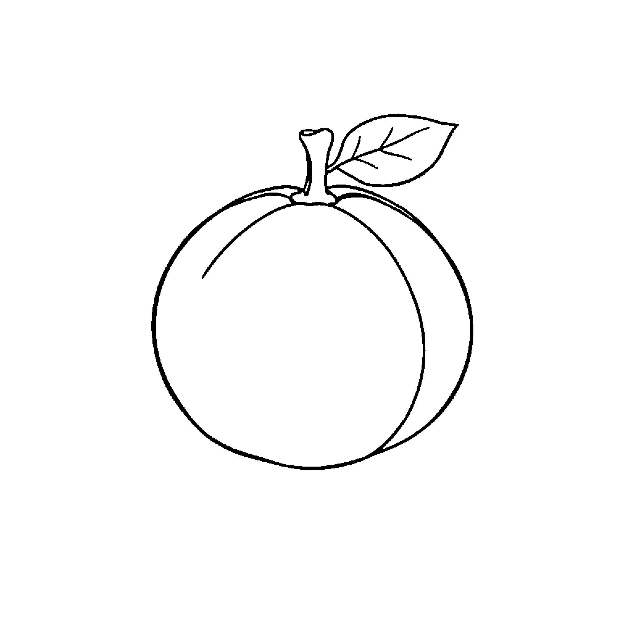 Best Mandarin Orange Coloring Pages (Free Printable PDF)