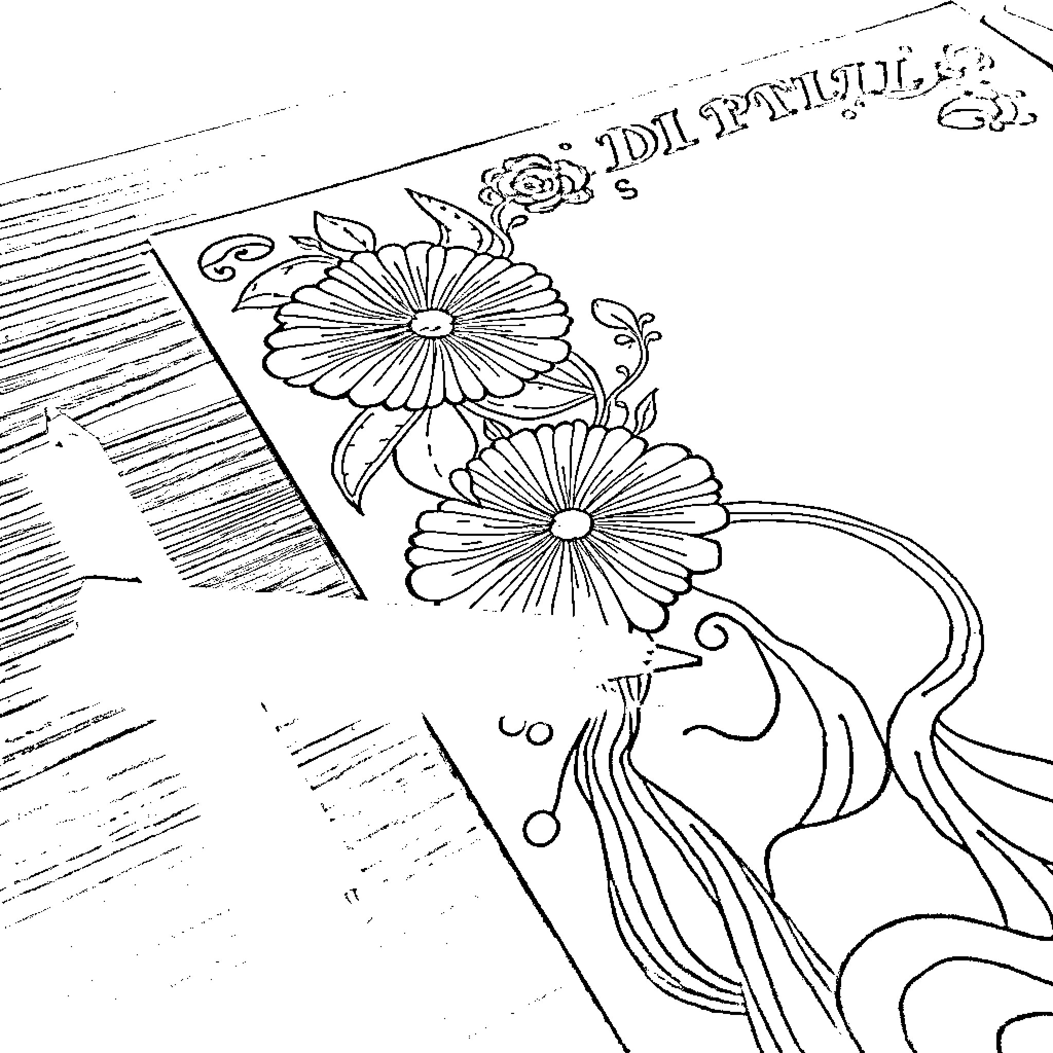 Best Escoba Coloring Pages (Free Printable PDF)