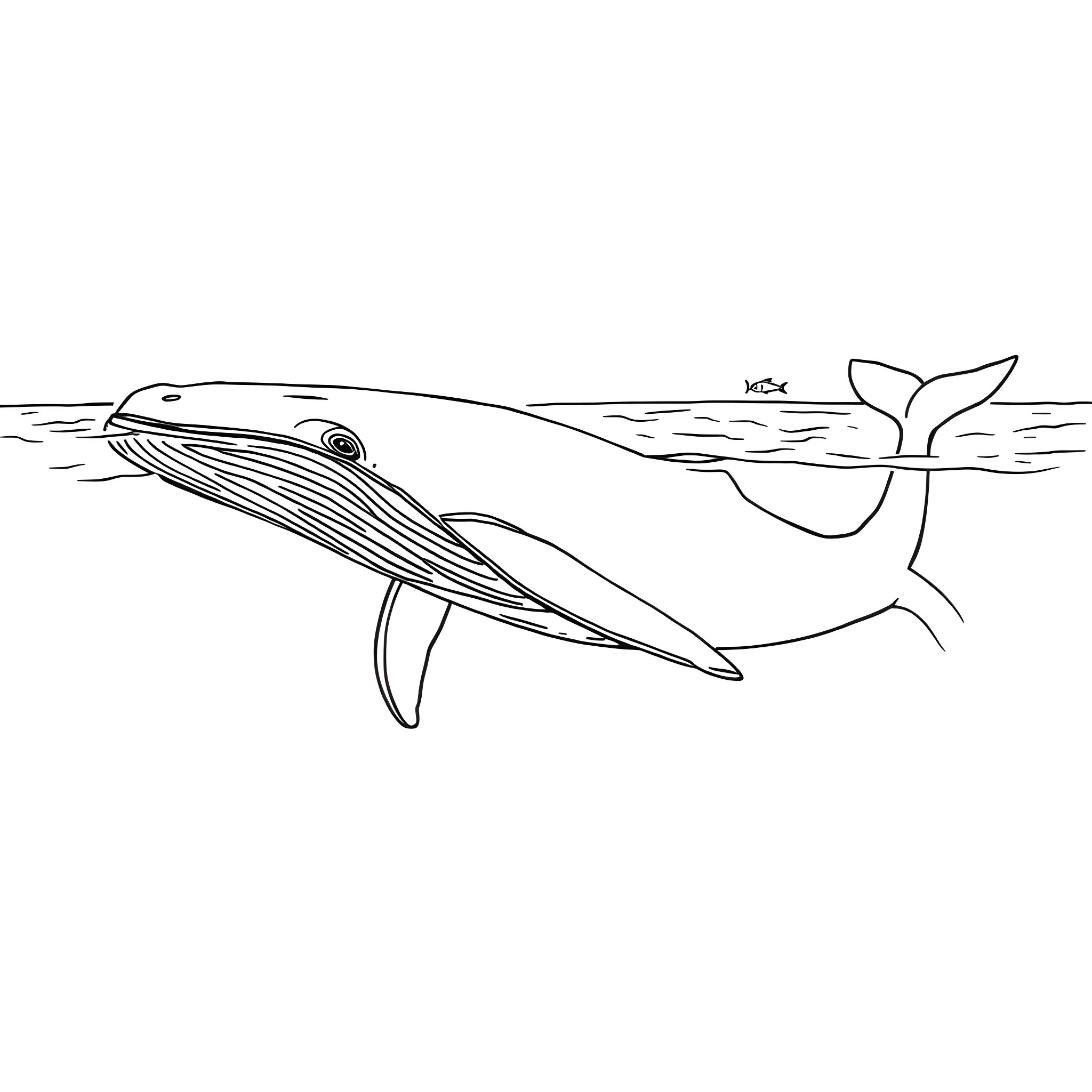 159 Best Whale Coloring Pages (Free Printable PDFs)