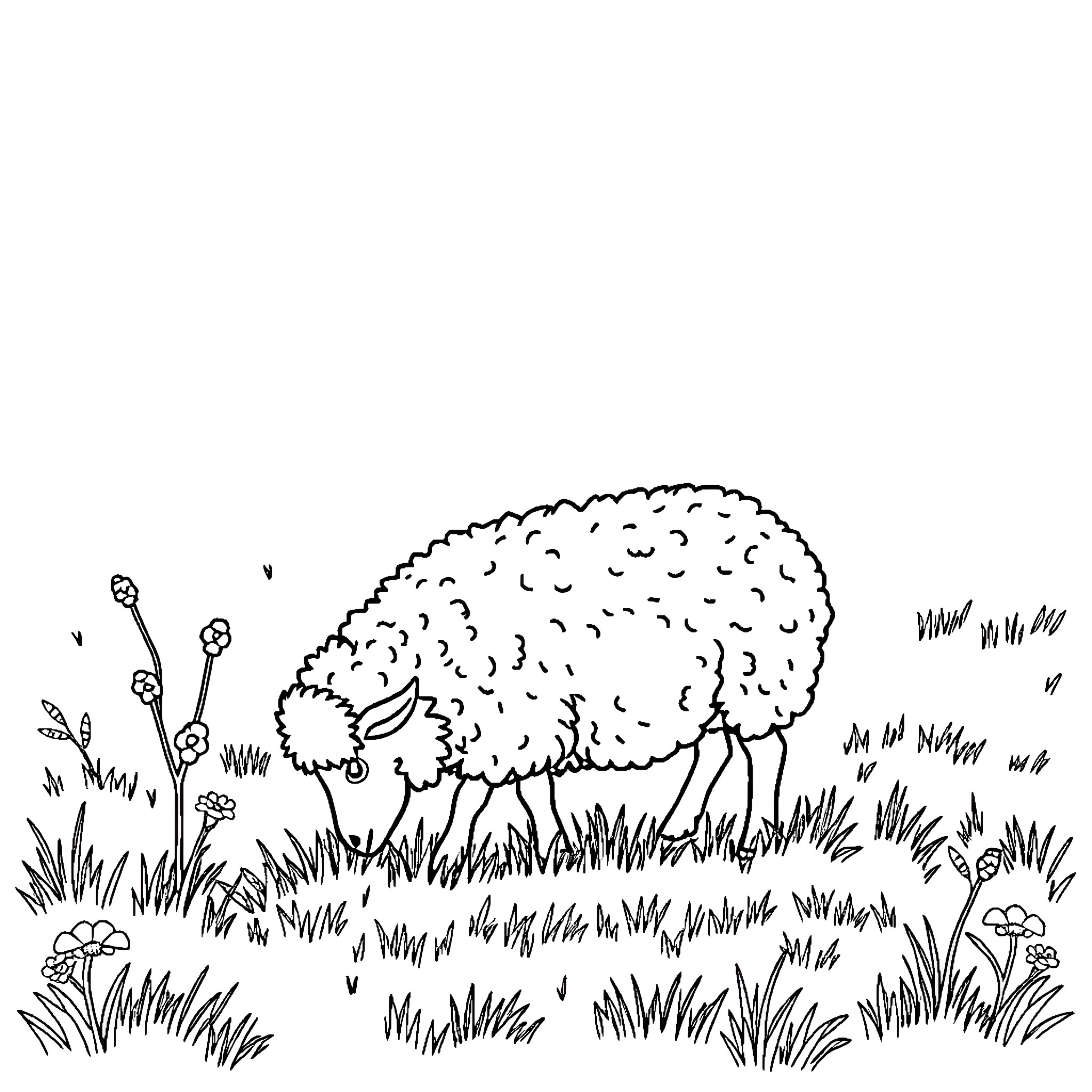Best Sheep Coloring Pages (Free Printable PDF)