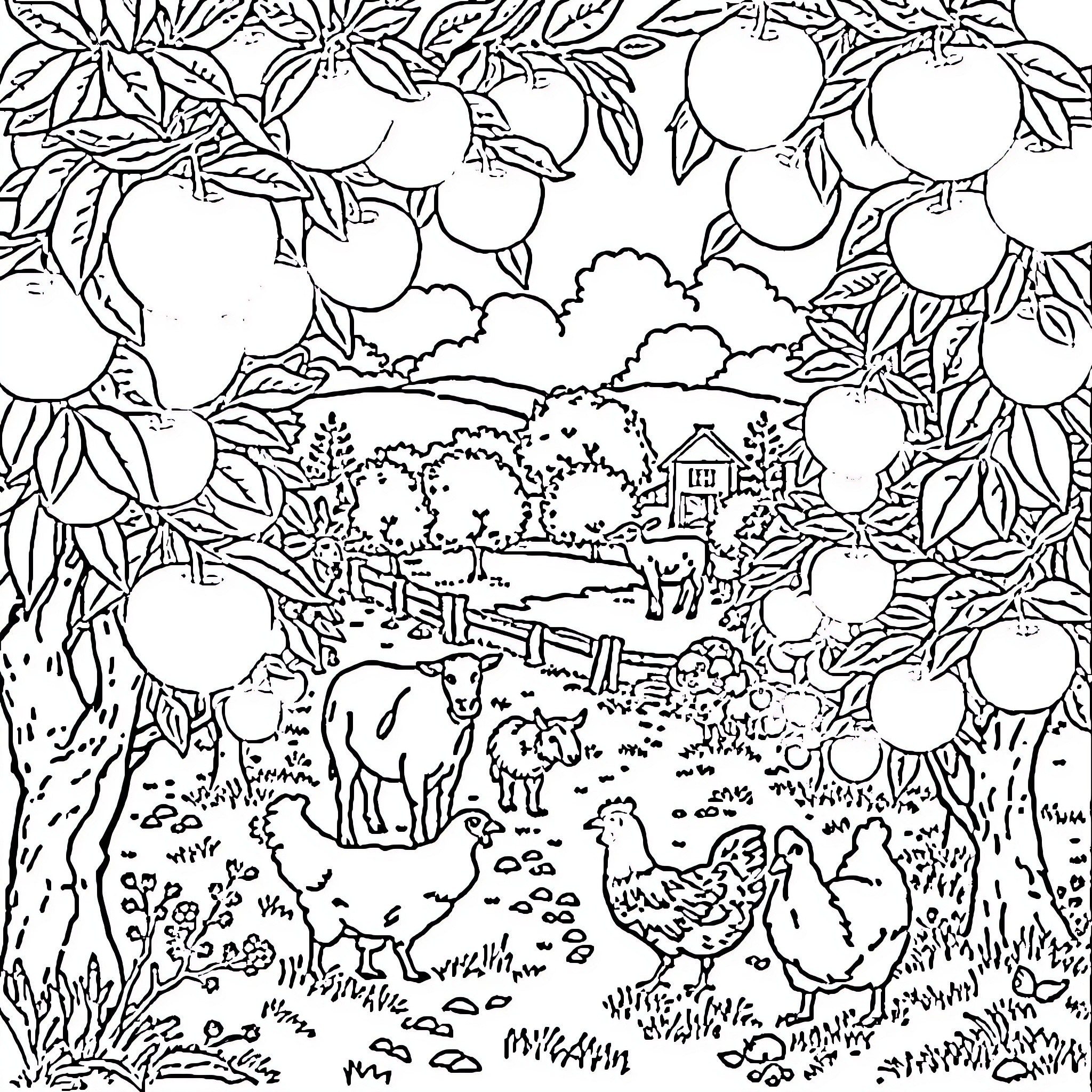 14 Best Line Coloring Pages (Free Printable PDFs)