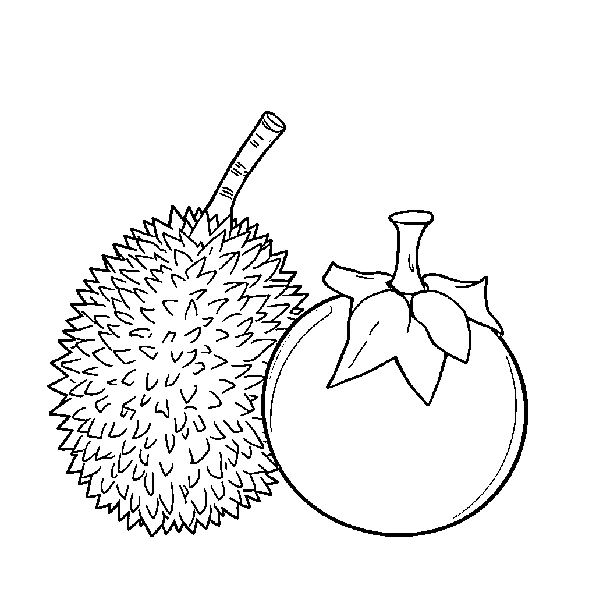 Best Durian Coloring Pages (Free Printable PDF)