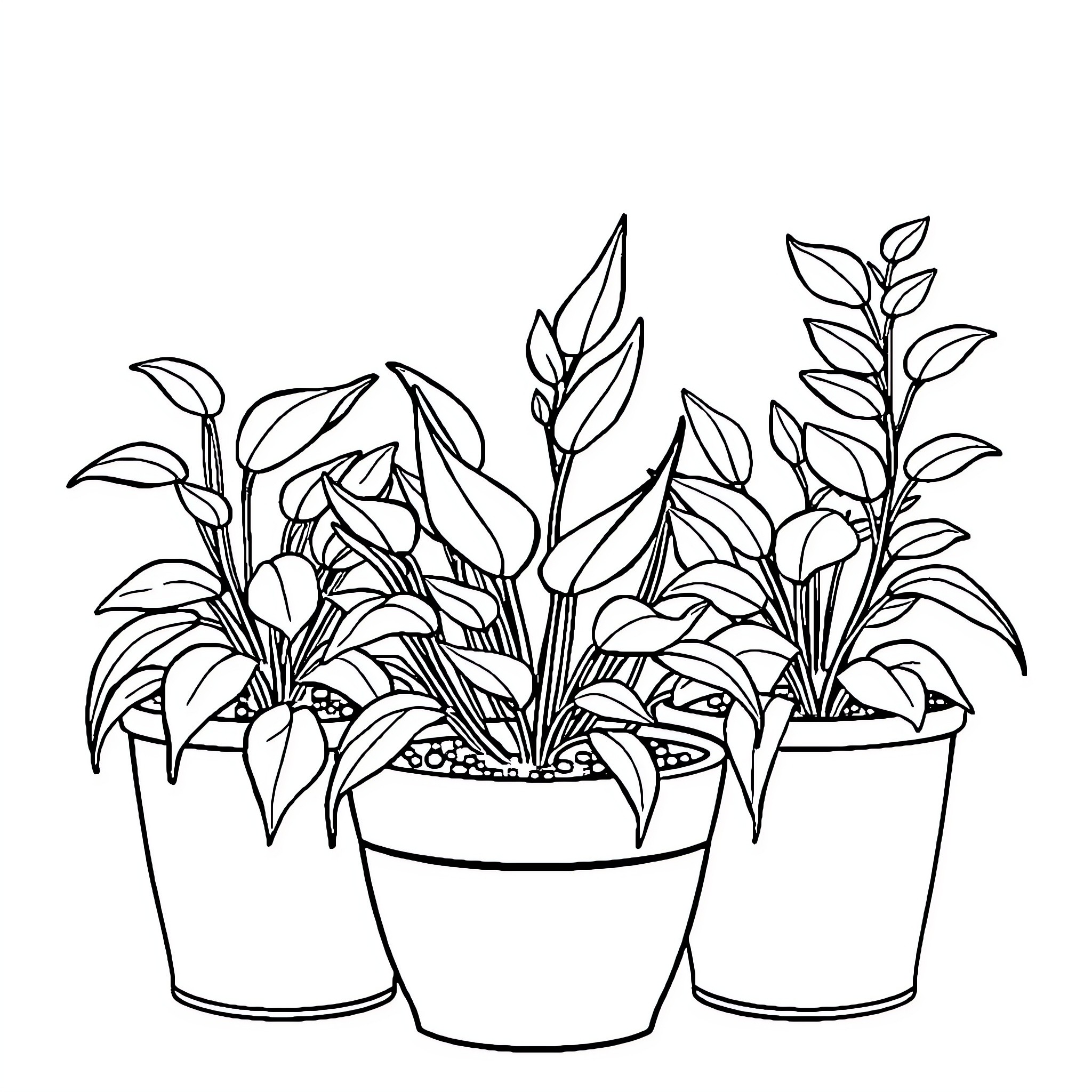 Best Plant Coloring Pages (Free Printable PDF)