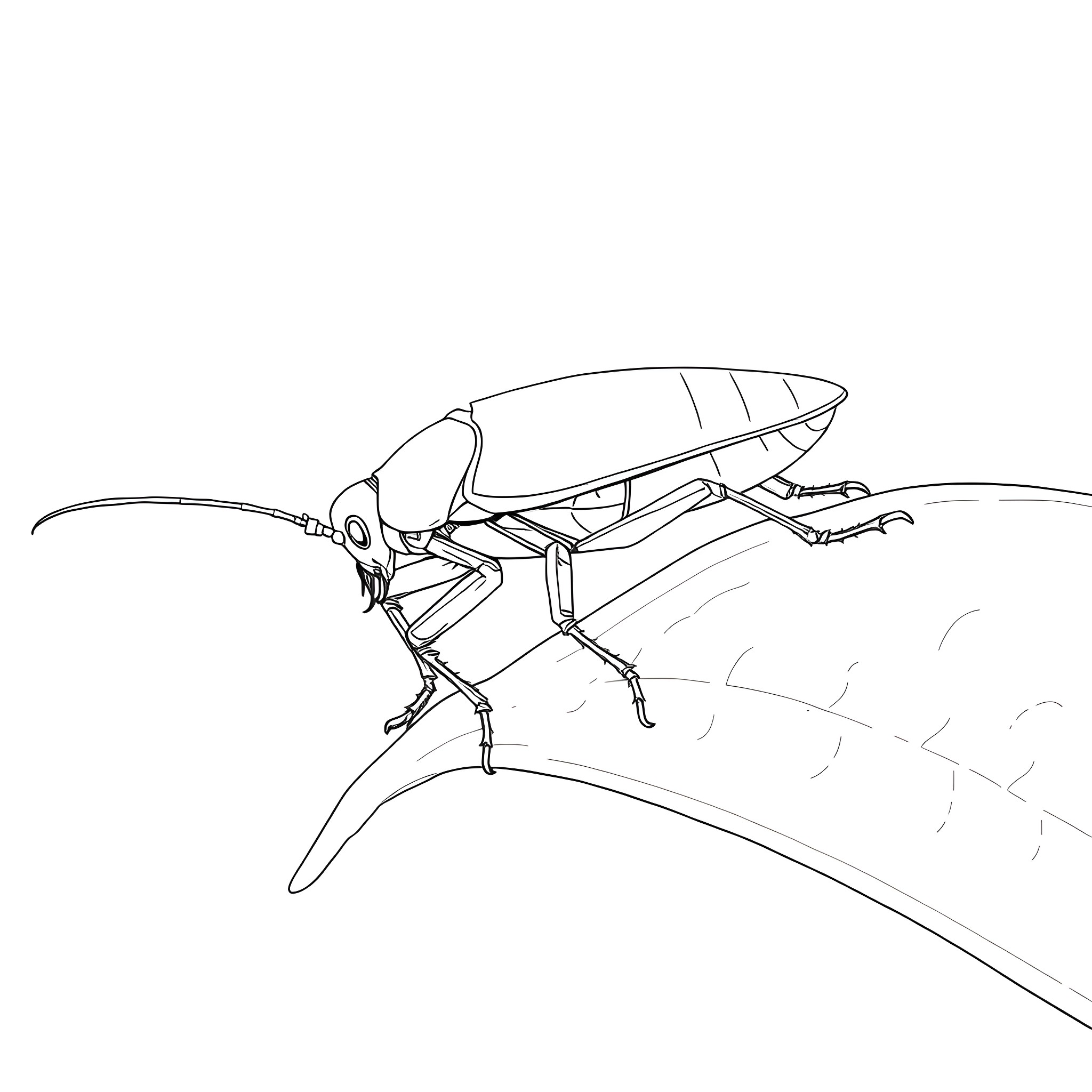 54 Best Cockroach Coloring Pages (Free Printable PDFs)