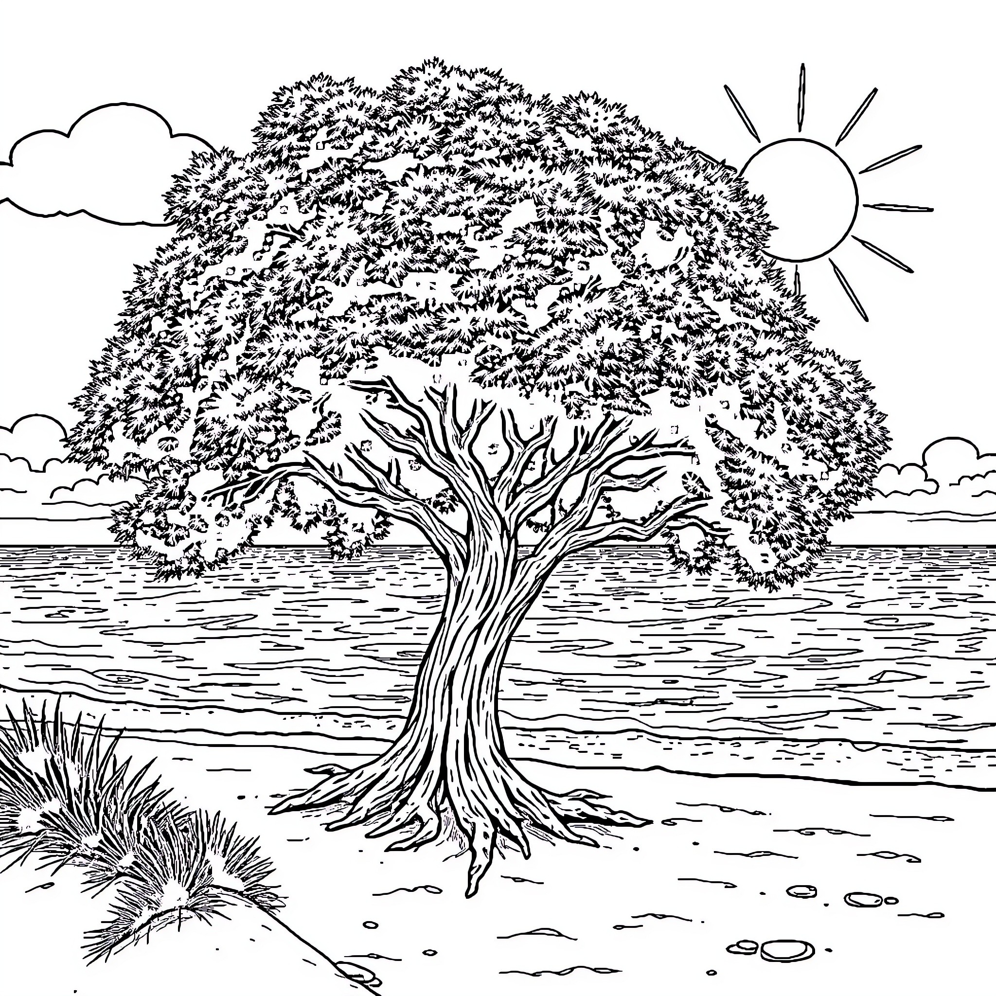 Best Tree Coloring Pages (Free Printable PDF)