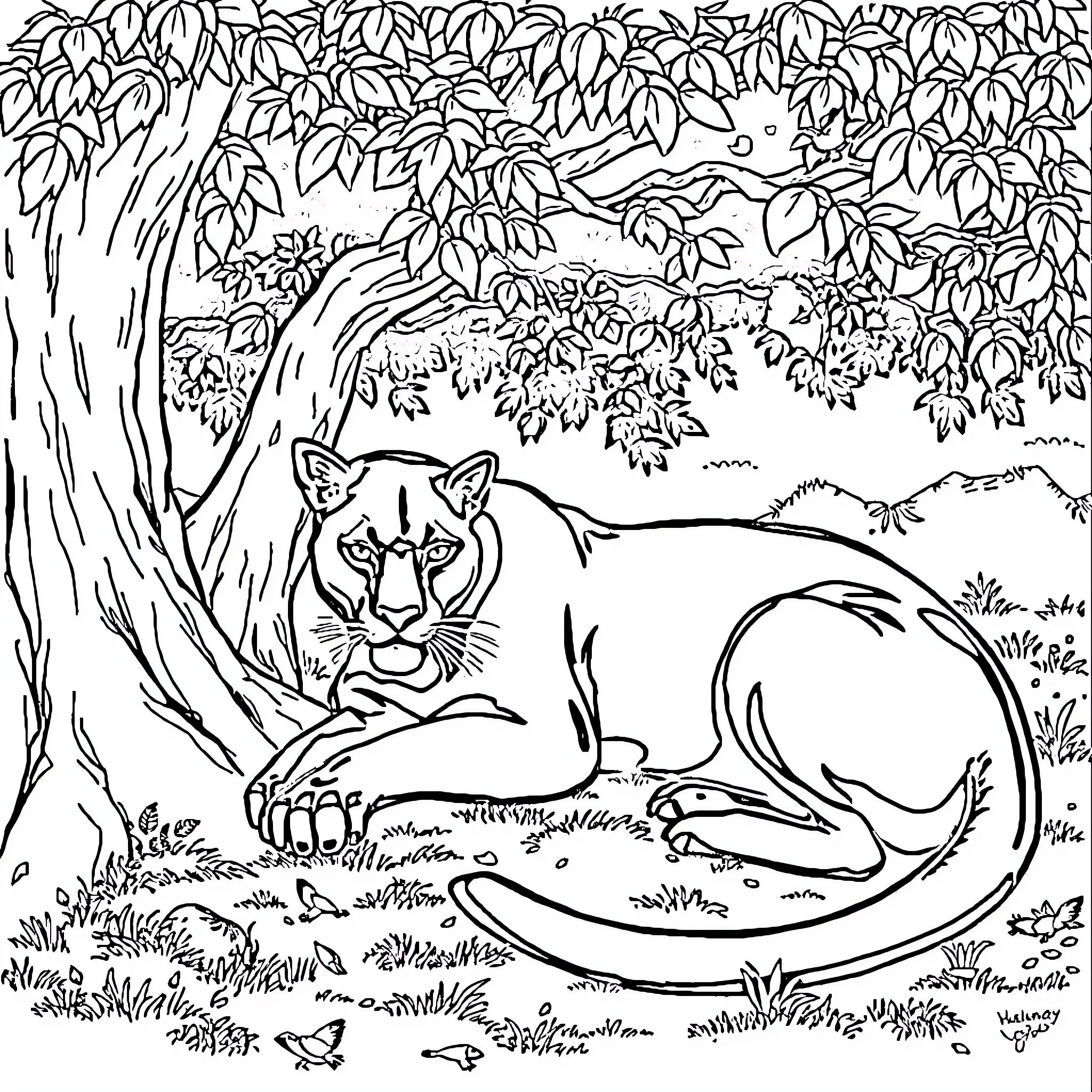 Best Panther Coloring Pages (Free Printable PDF)