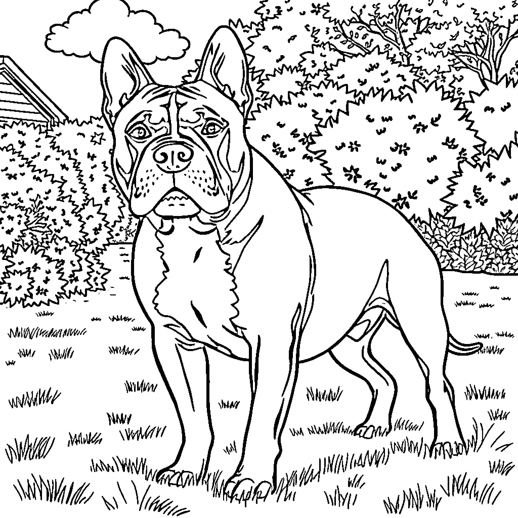Best American Bully Coloring Pages (Free Printable PDF)