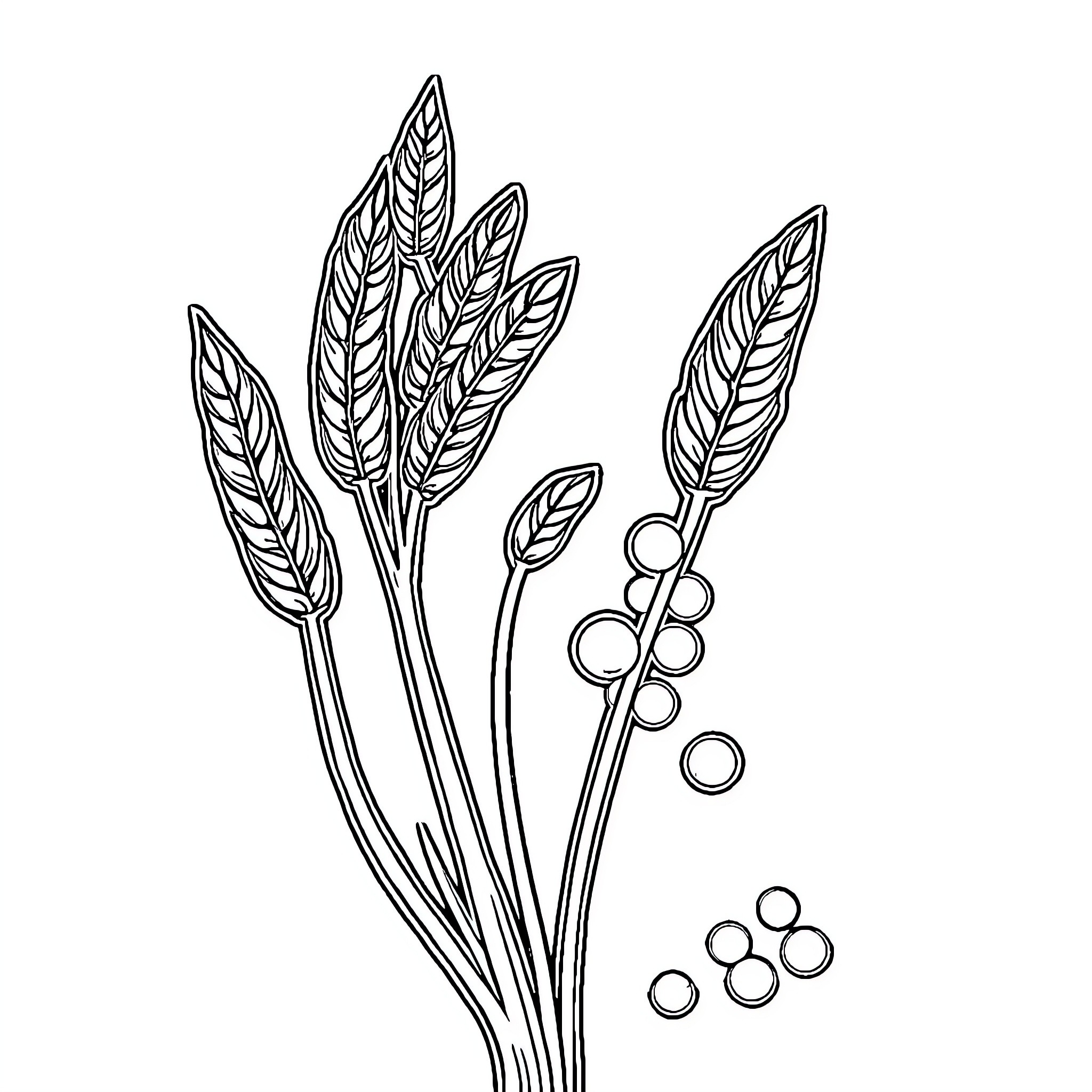 Best Millet Coloring Pages (Free Printable PDF)