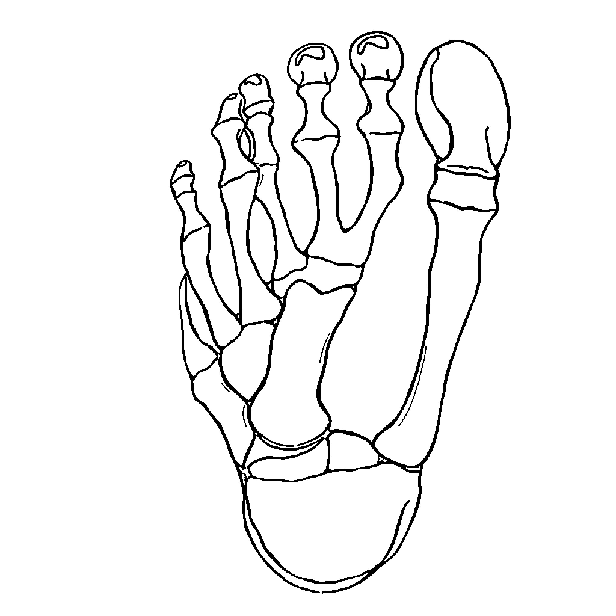 Best P!nk Coloring Pages (Free Printable PDF)