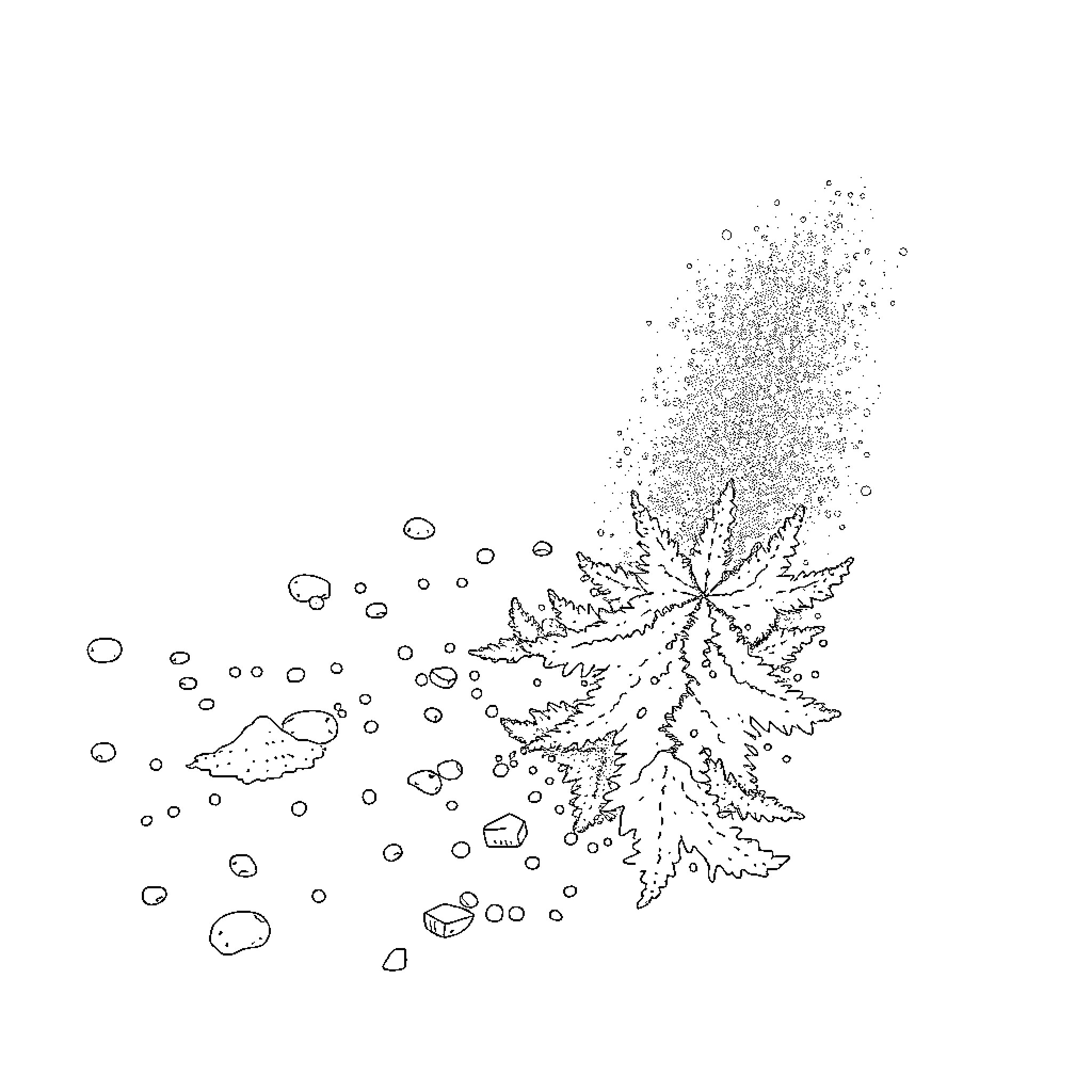 Best Berkane Coloring Pages (Free Printable PDF)