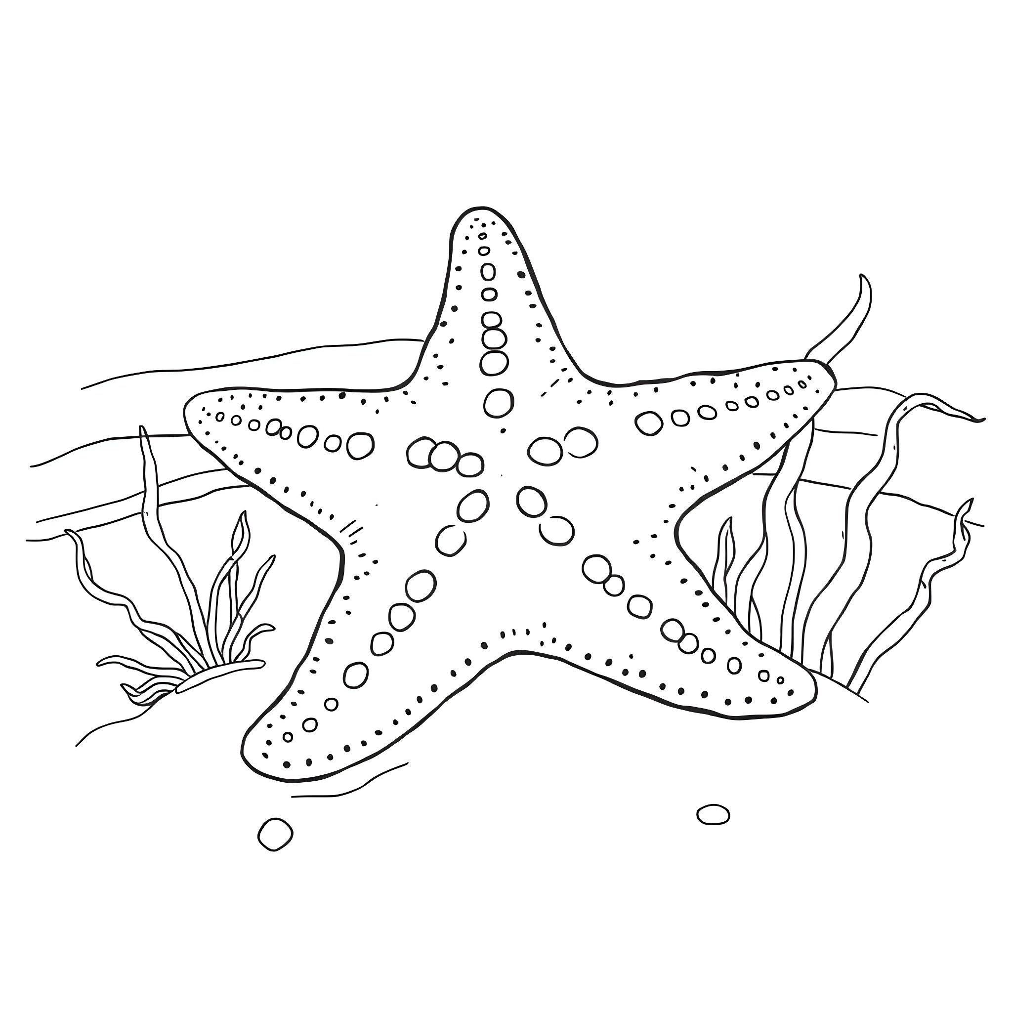 88 Best Starfish Coloring Pages (Free Printable PDFs)