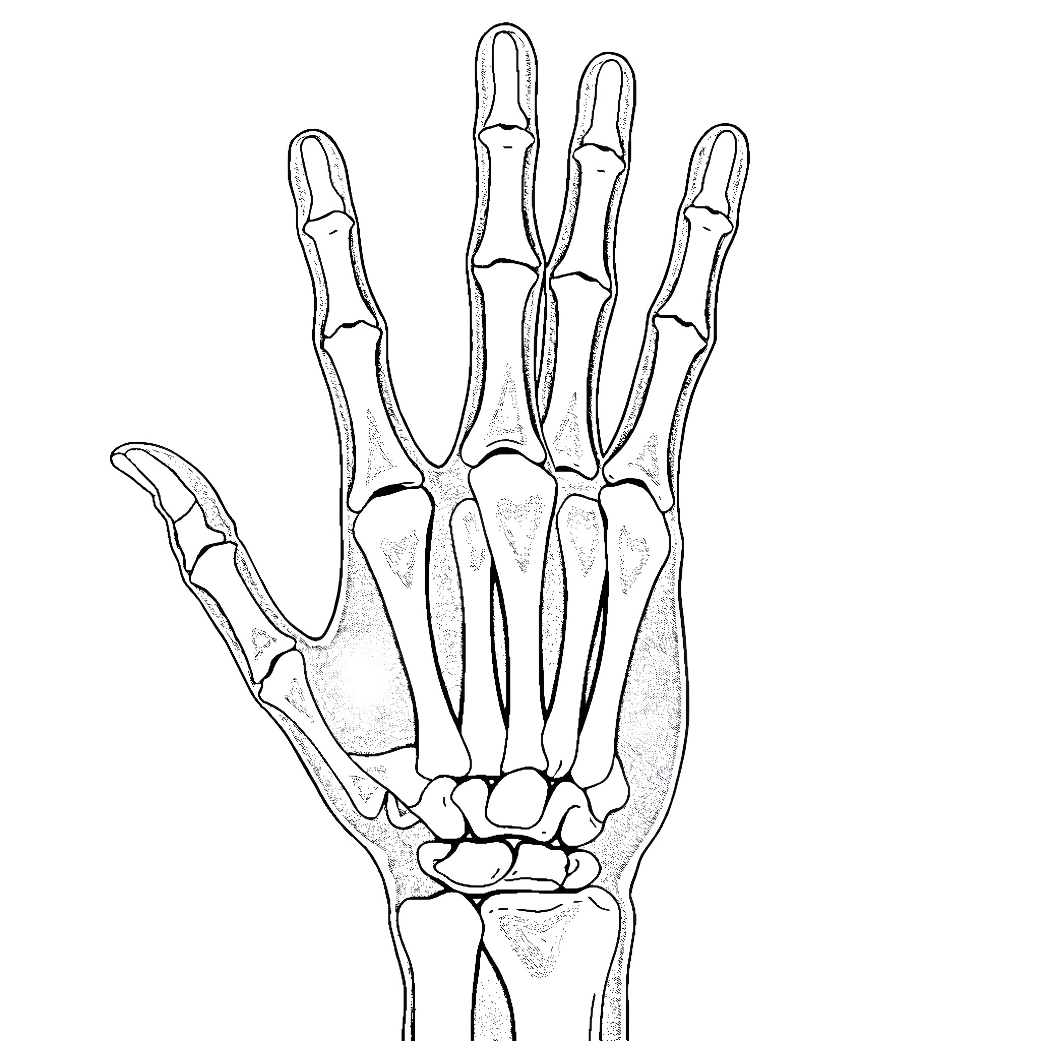 Best Enid Coloring Pages (Free Printable PDF)