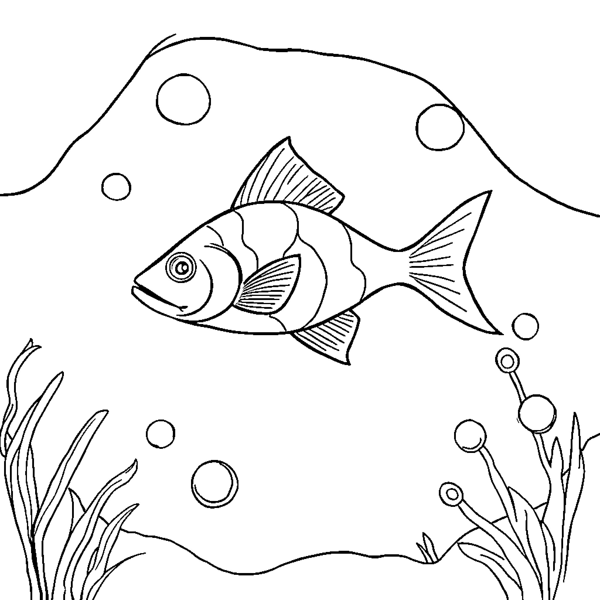 Best Fish Coloring Pages (Free Printable PDF)