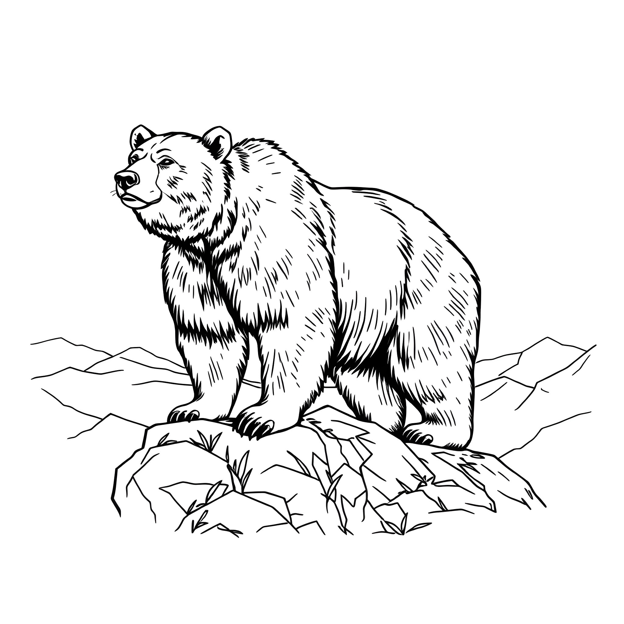 47 Best Bear Coloring Pages (Free Printable PDFs)