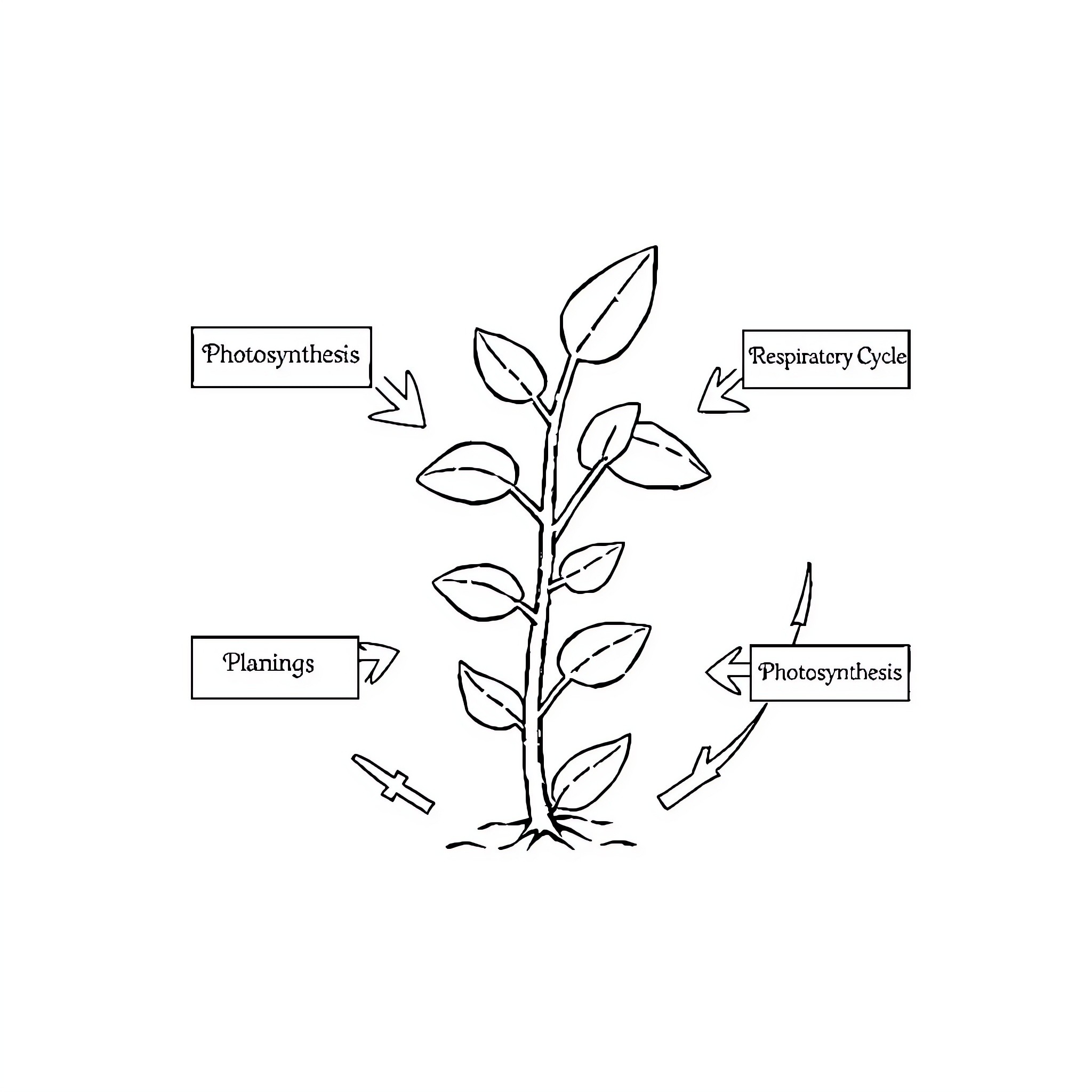 83 Best Plant Coloring Pages (Free Printable PDFs)