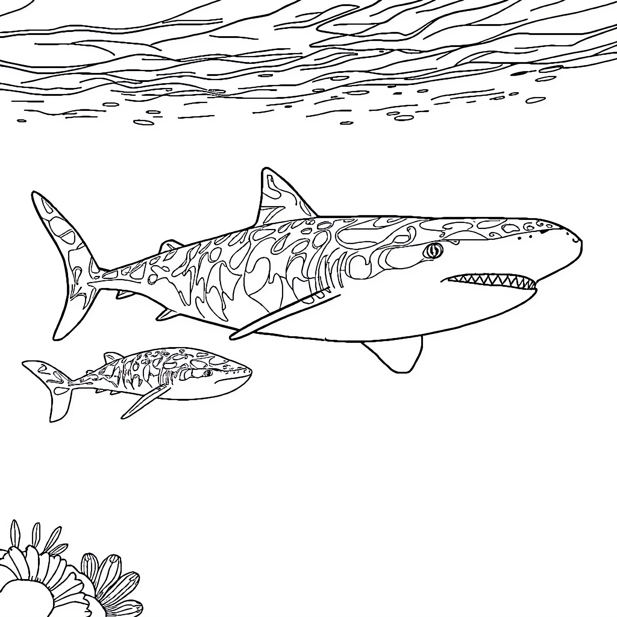 Best Whale Shark Coloring Pages (Free Printable PDF)