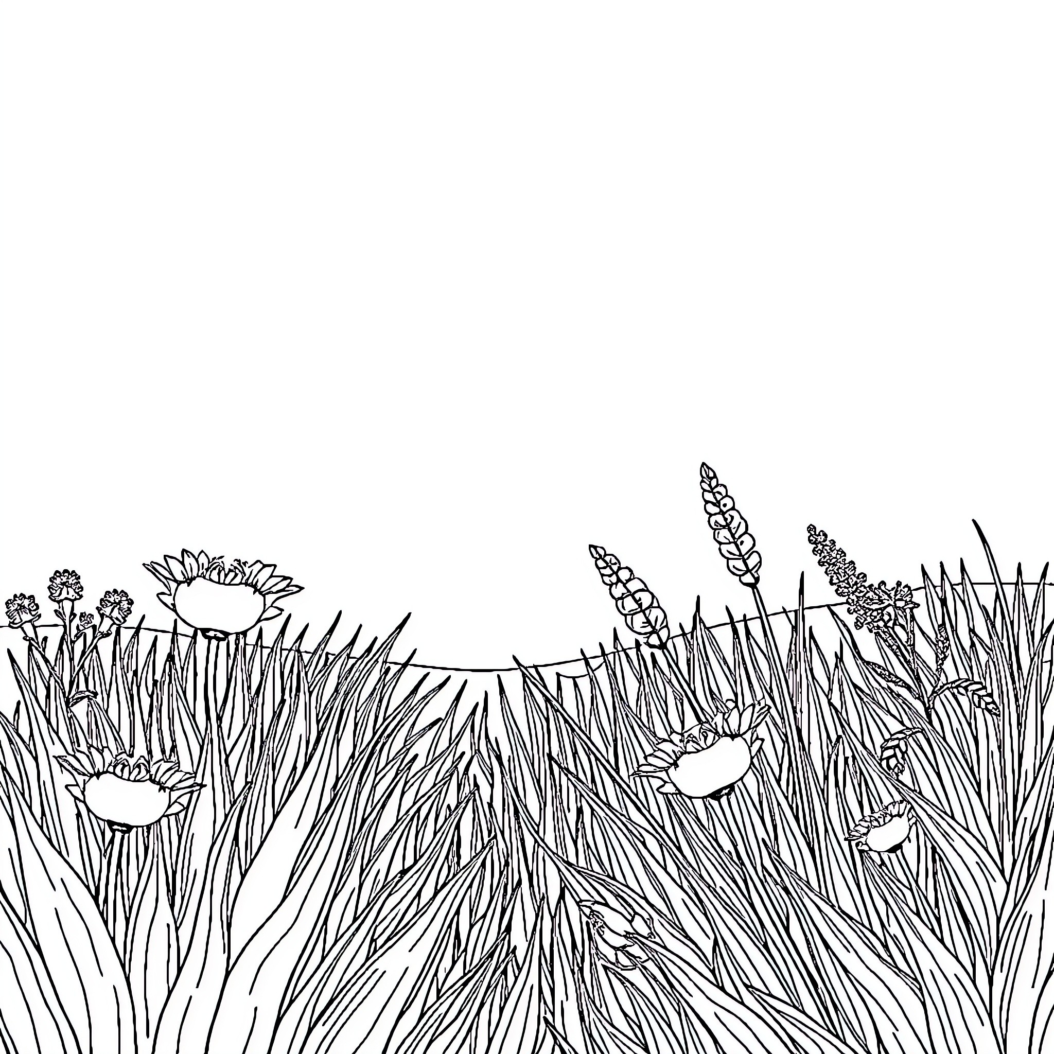 All Coloring Page Collection (With Free Printable PDFs)