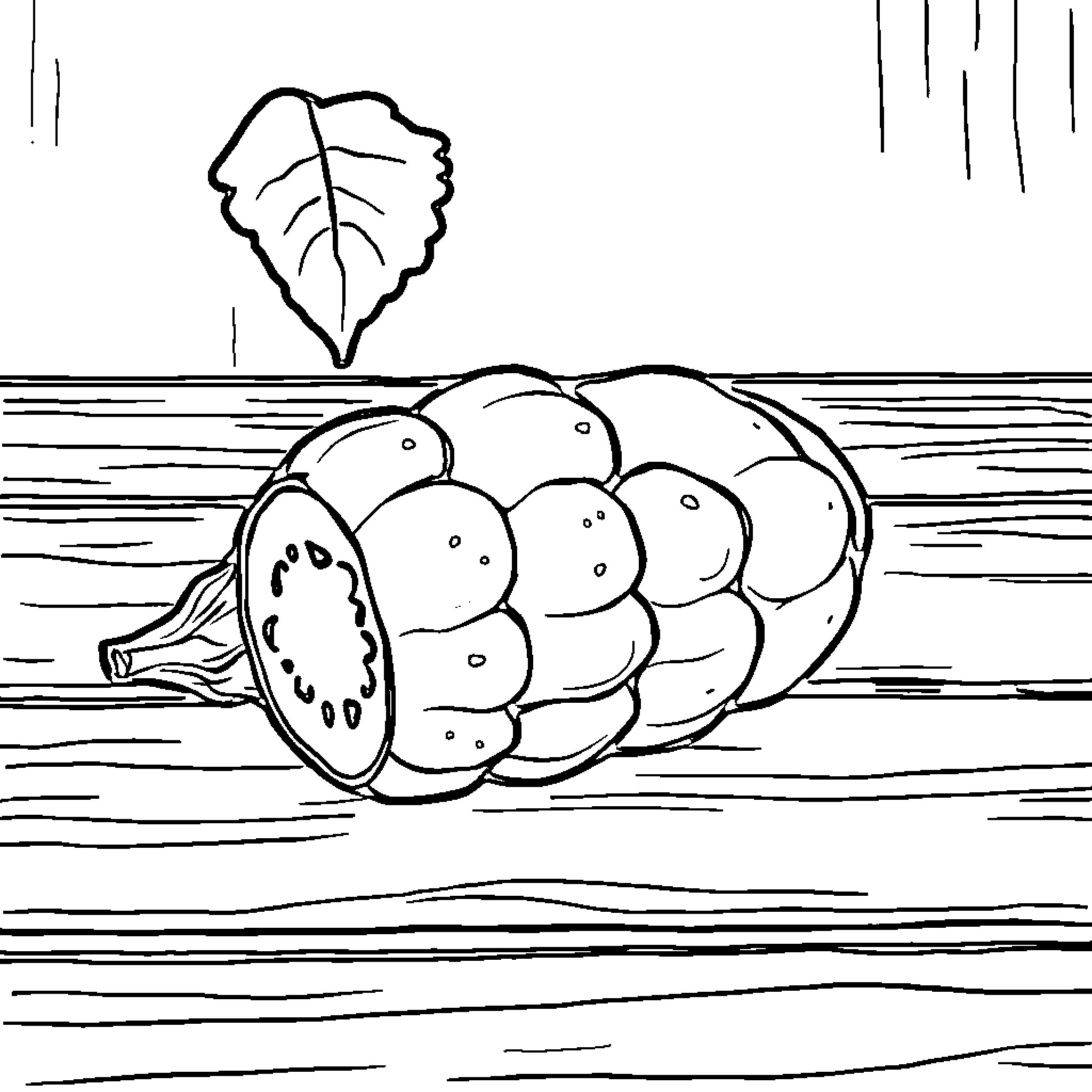 Best Staphorst Stipwerk Coloring Pages (Free Printable PDF)