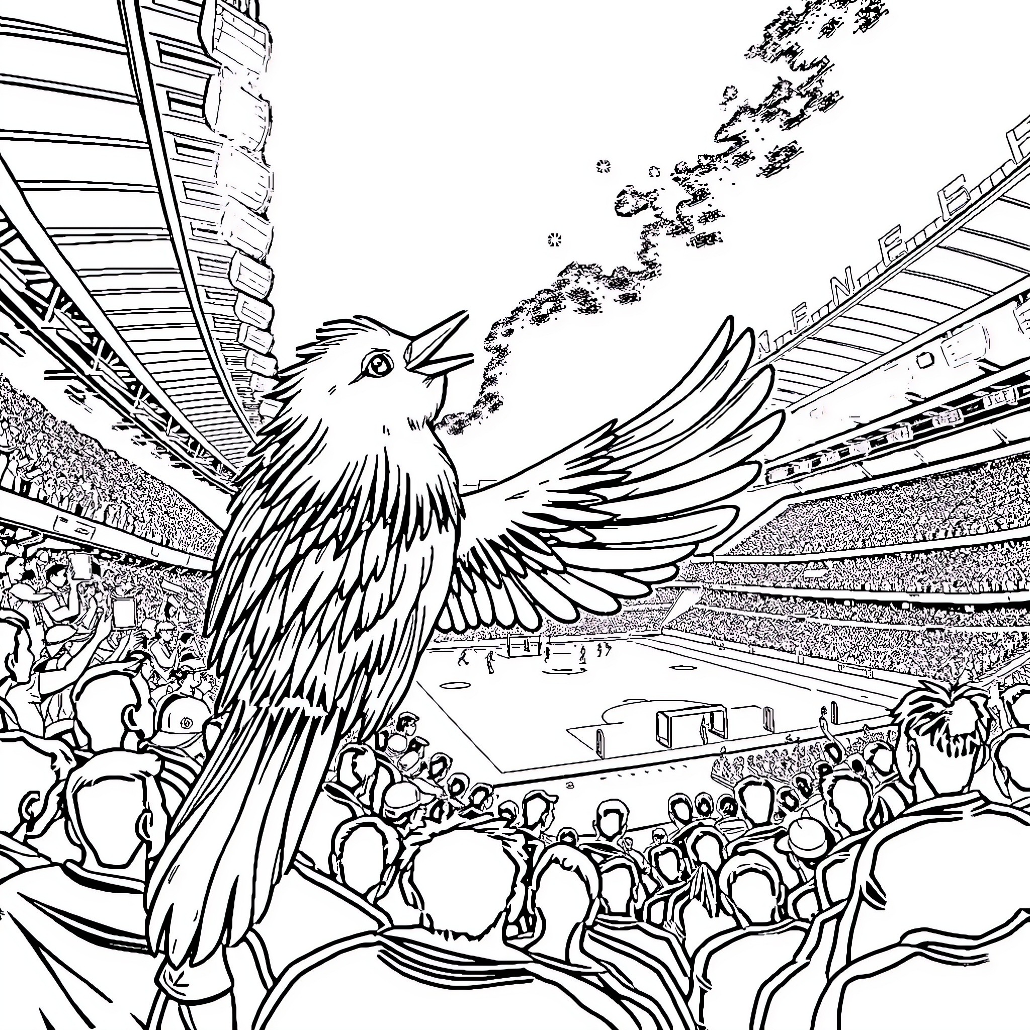 Best Autruche Coloring Pages (Free Printable PDF)