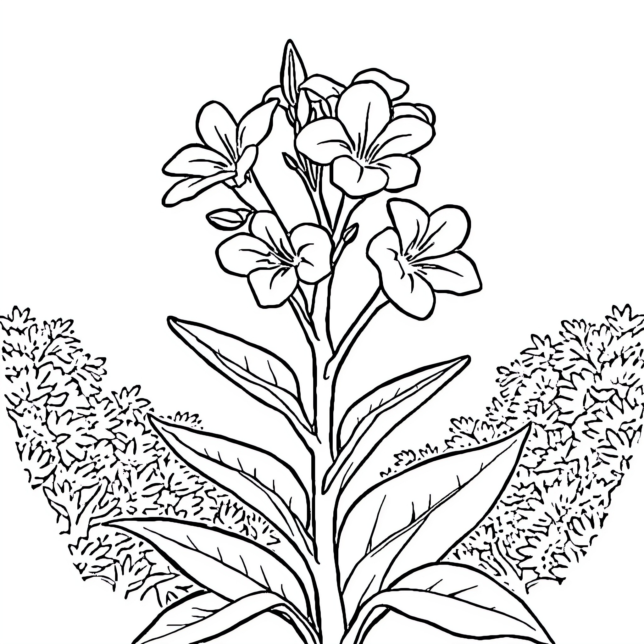 Best Charlie Kirk Coloring Pages (Free Printable PDF)