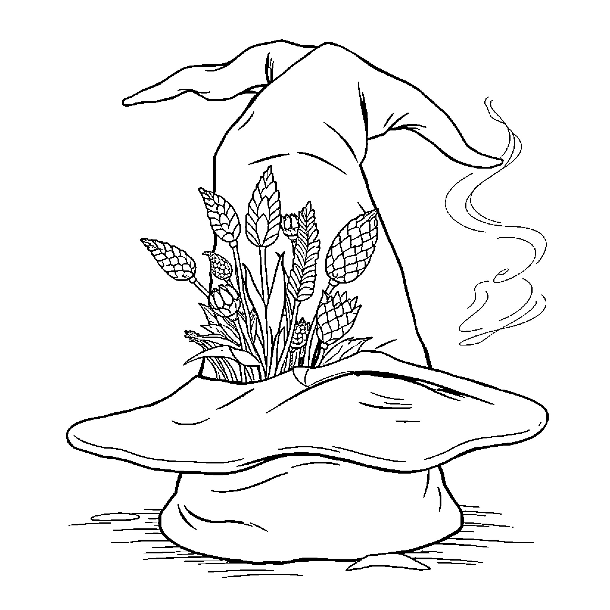 Best Tortuguita Coloring Pages (Free Printable PDF)