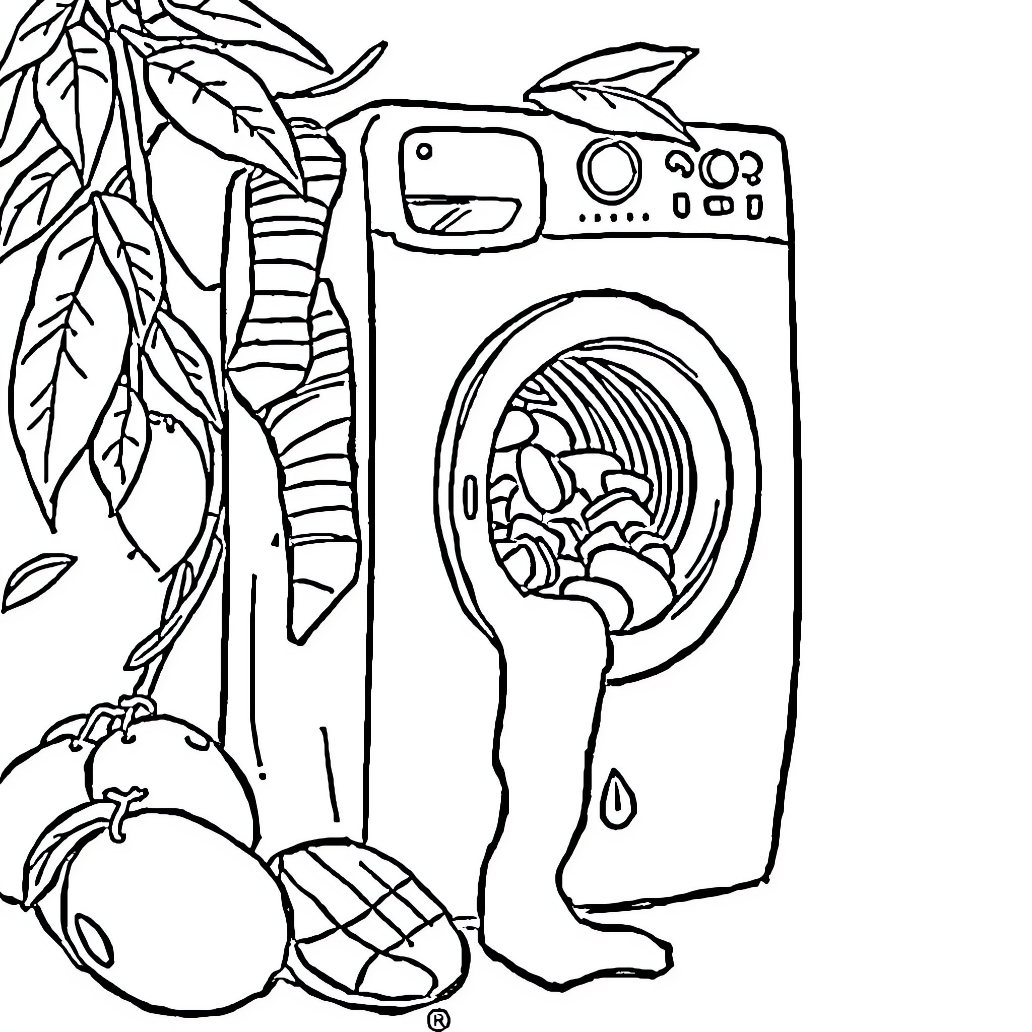 9 Best Jalen Brunson Coloring Pages (Free Printable PDFs)