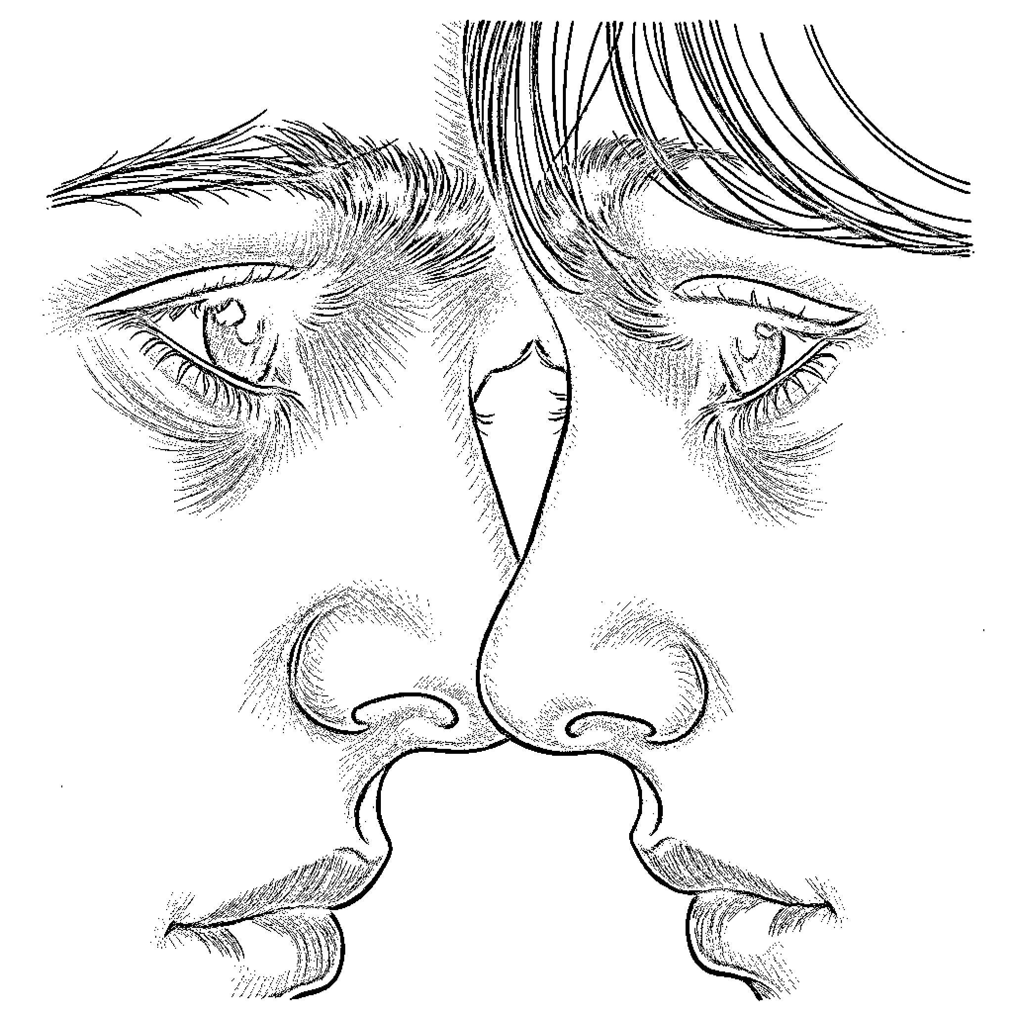 Best Human Face Coloring Pages (Free Printable PDF)