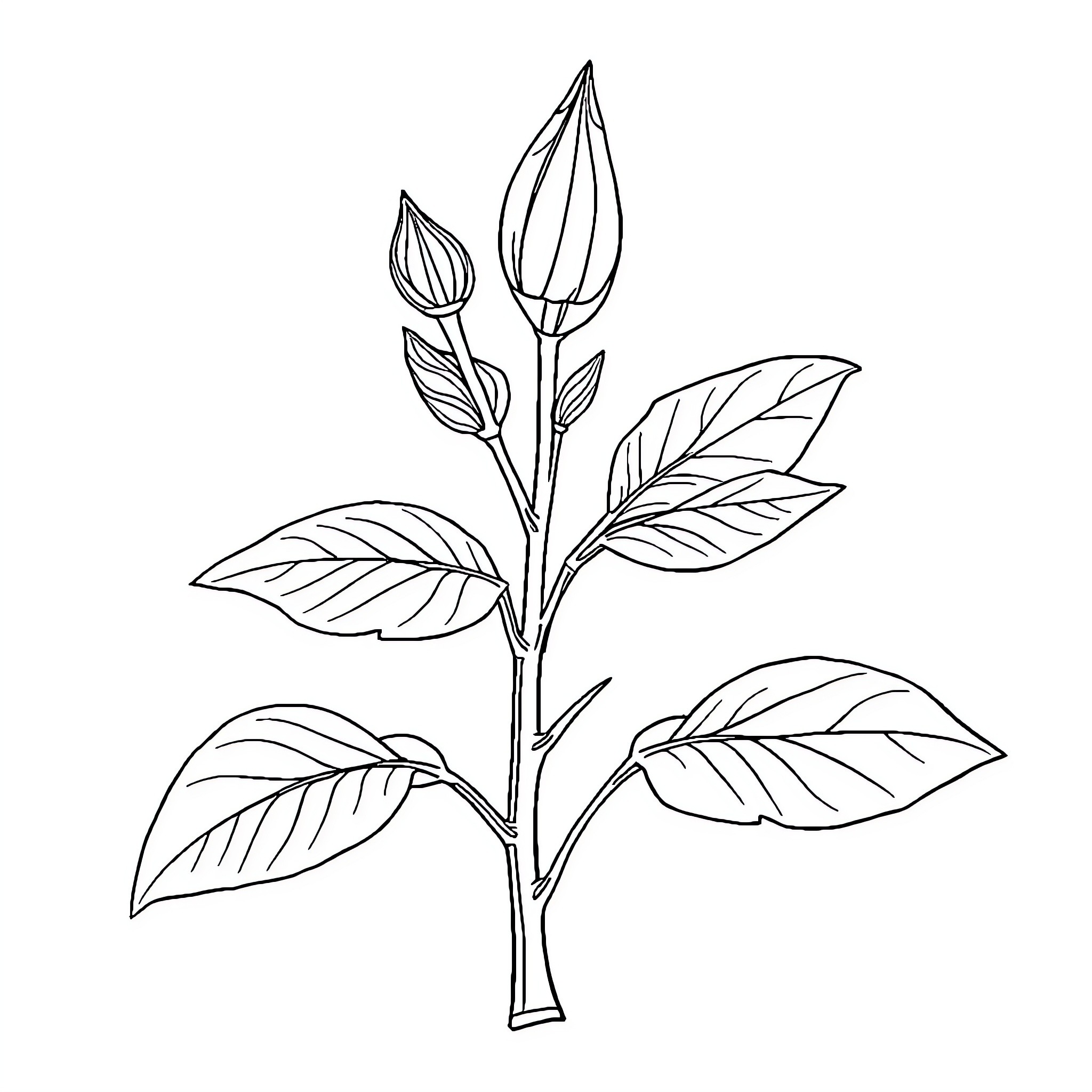 83 Best Plant Coloring Pages (Free Printable PDFs)