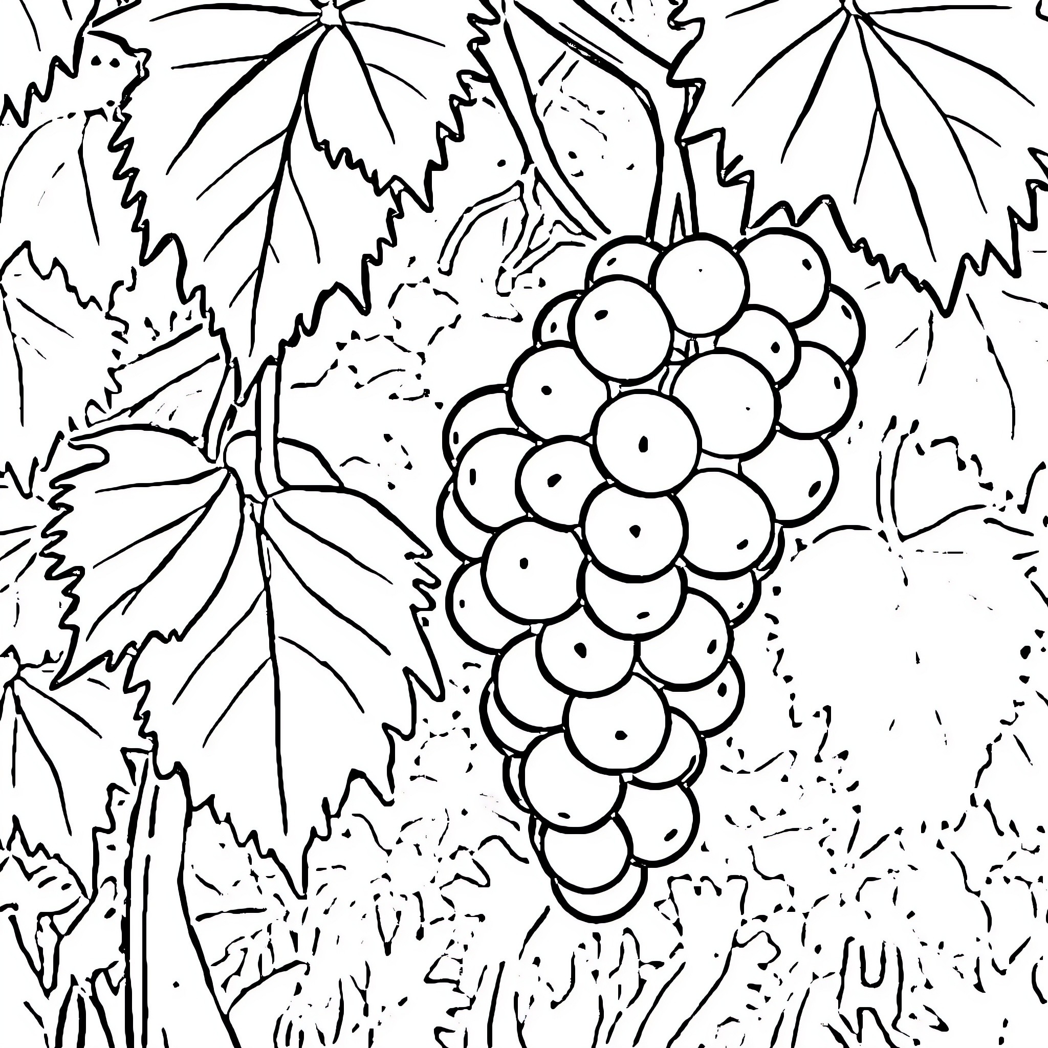 4 Best Grape Coloring Pages (Free Printable PDFs)