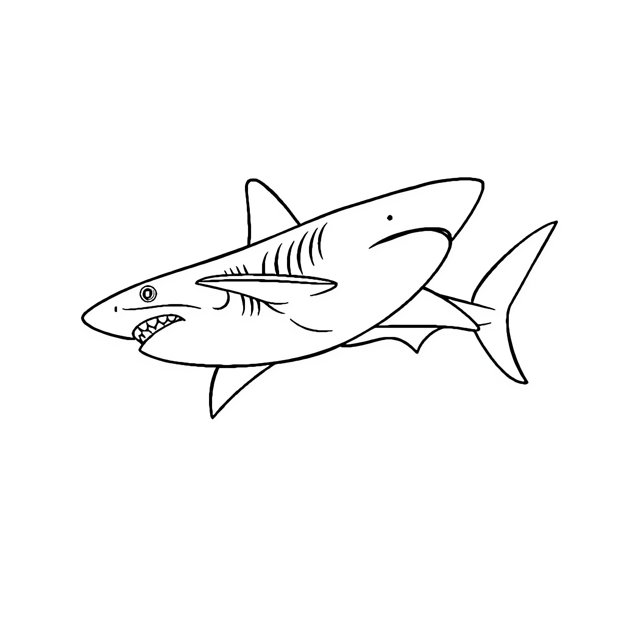 Best Shark Coloring Pages (Free Printable PDF)