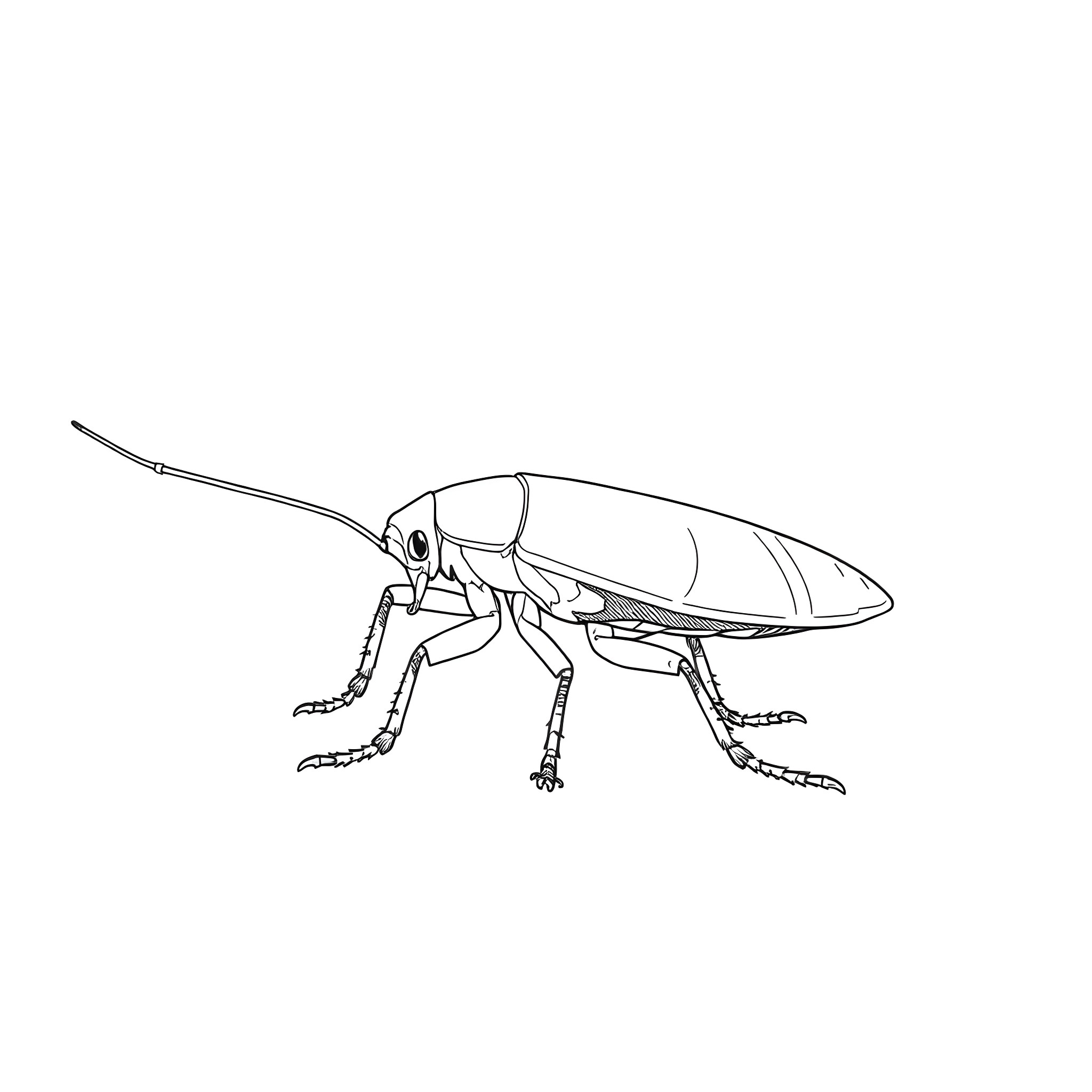 54 Best Cockroach Coloring Pages (Free Printable PDFs)