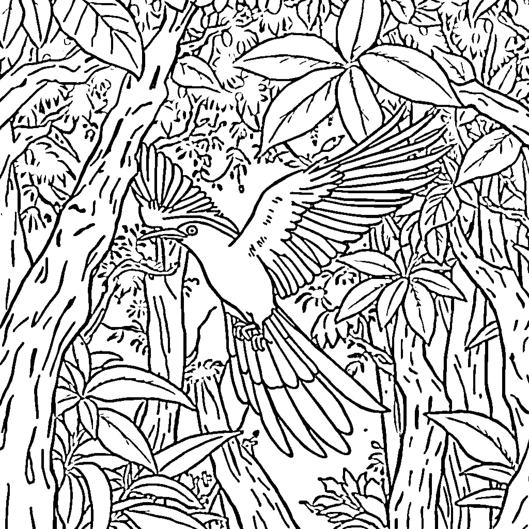 Best Chevalier Noir Coloring Pages (Free Printable PDF)