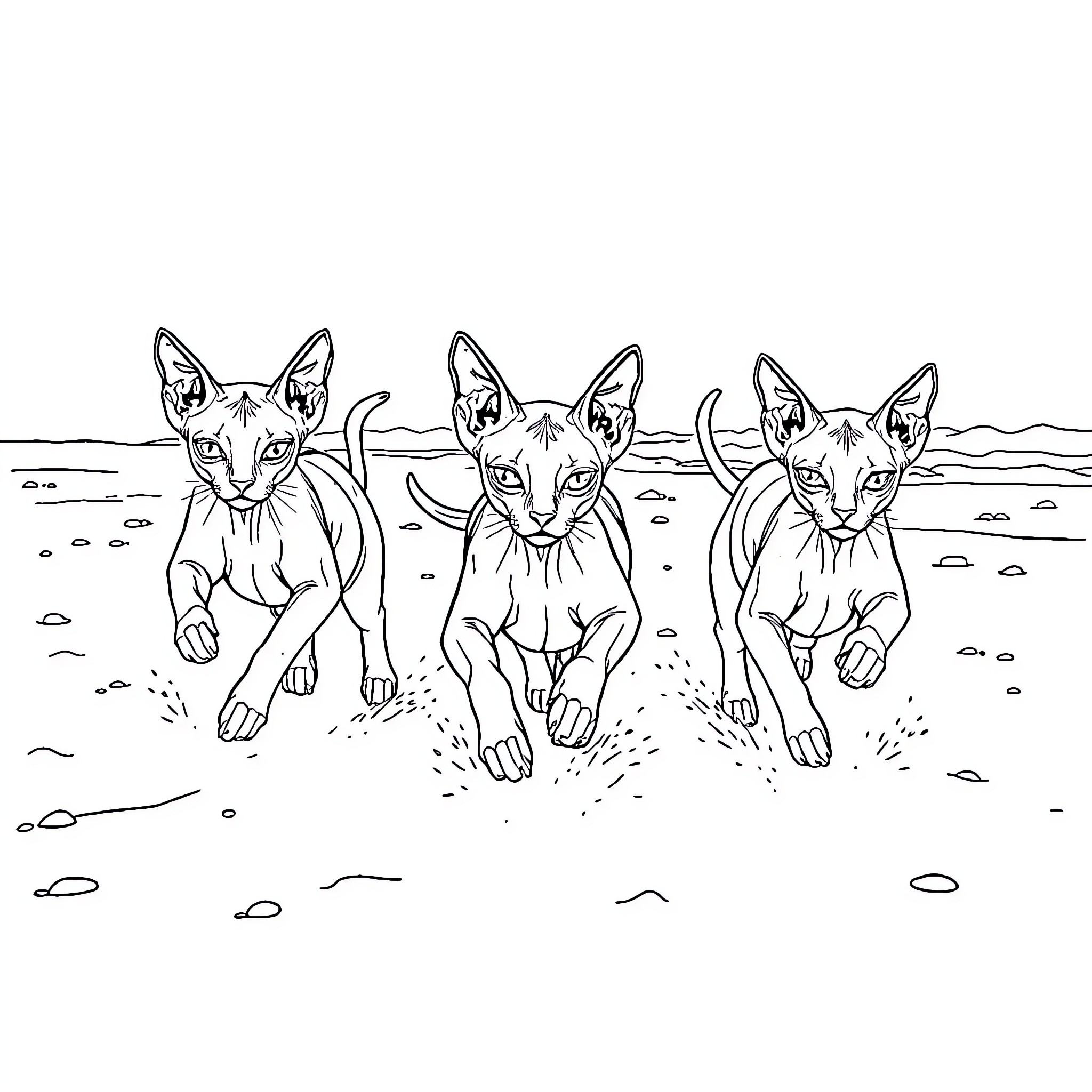 Best Lord Murugan Coloring Pages (Free Printable PDF)