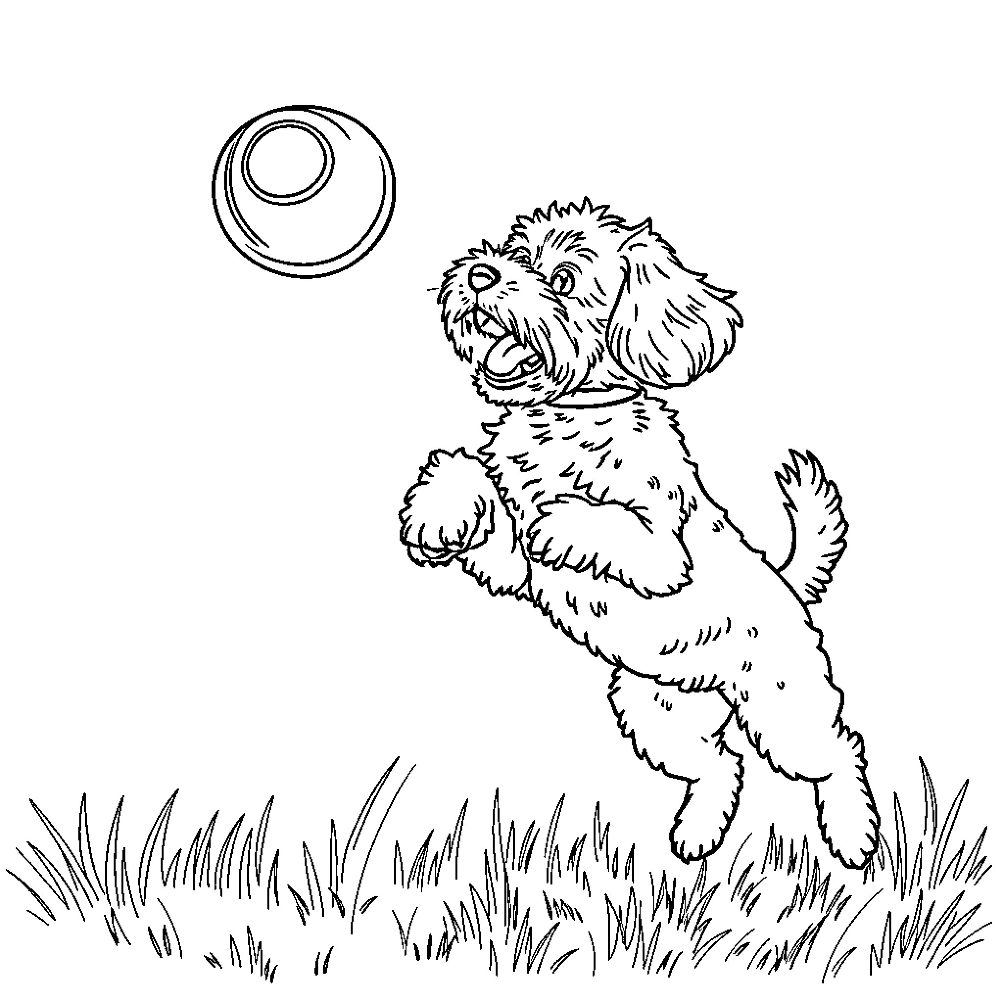Best Cockapoo Coloring Pages (Free Printable PDF)