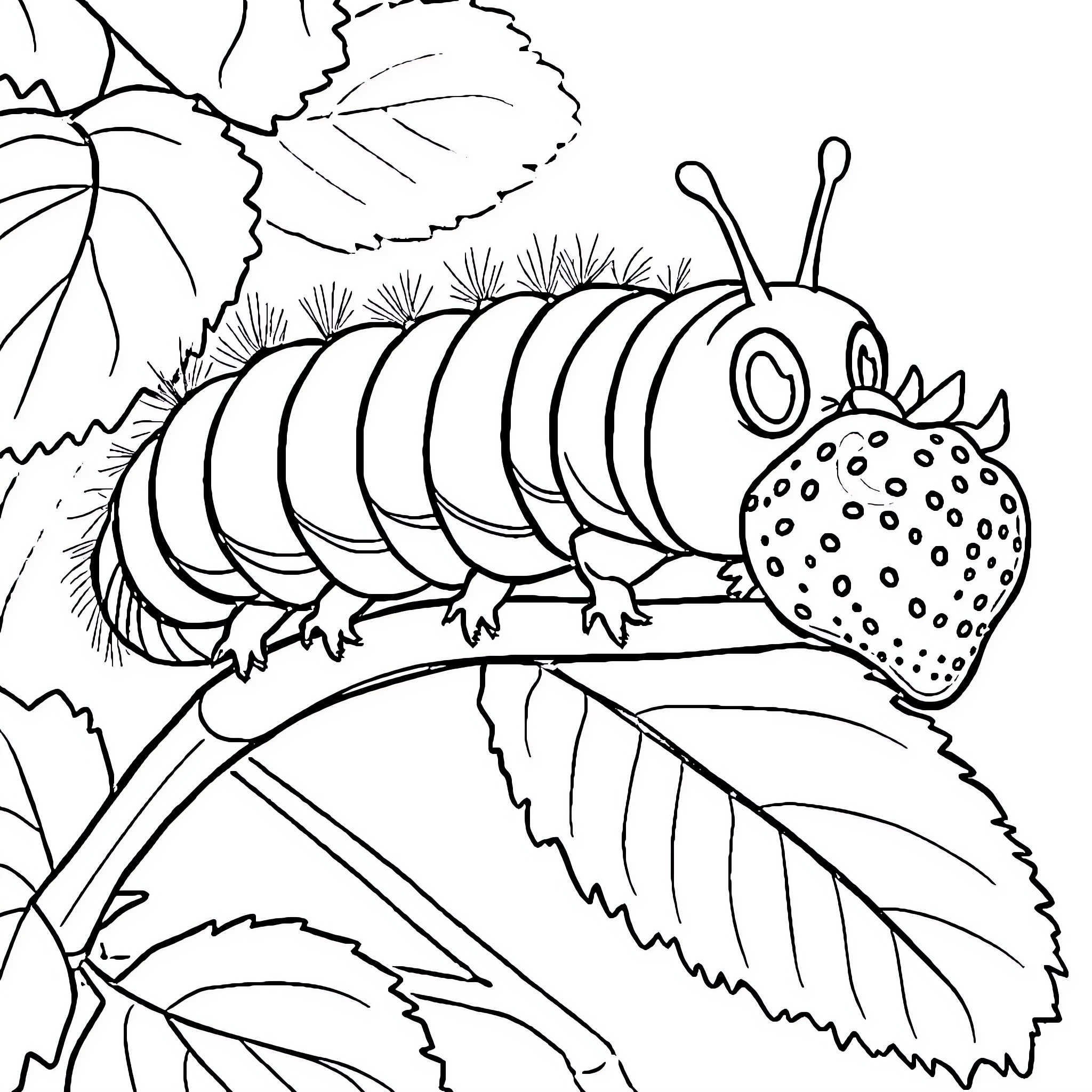 Best Stripe Coloring Pages (Free Printable PDF)
