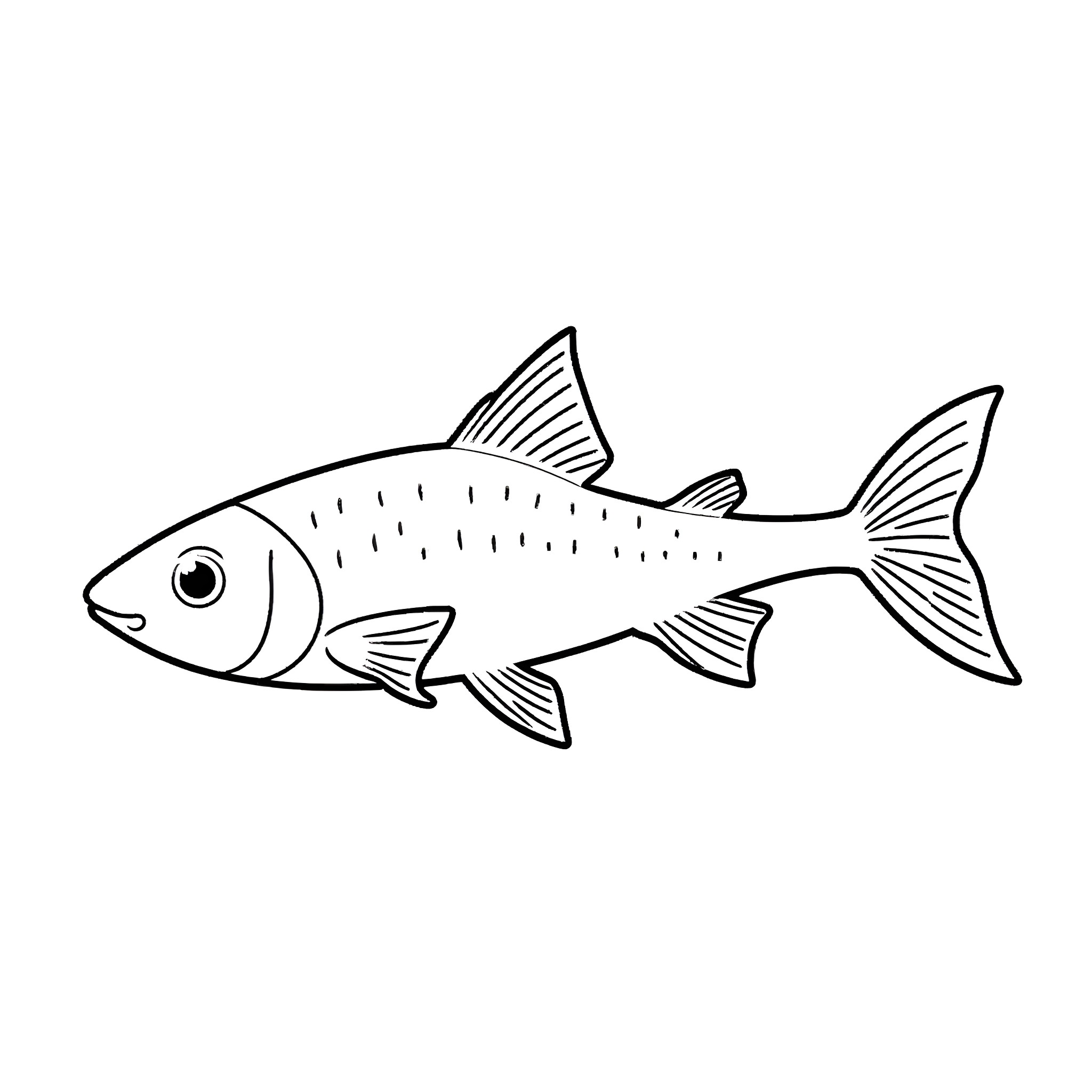 Best Mud Minnow Coloring Pages (Free Printable PDF)