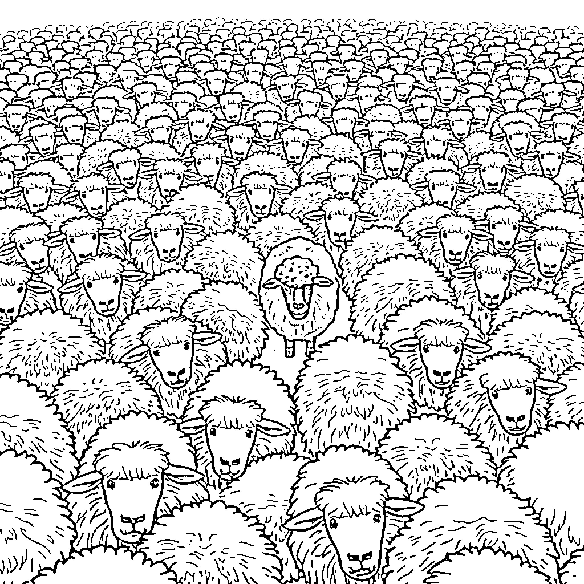 Best Sheep Coloring Pages (Free Printable PDF)