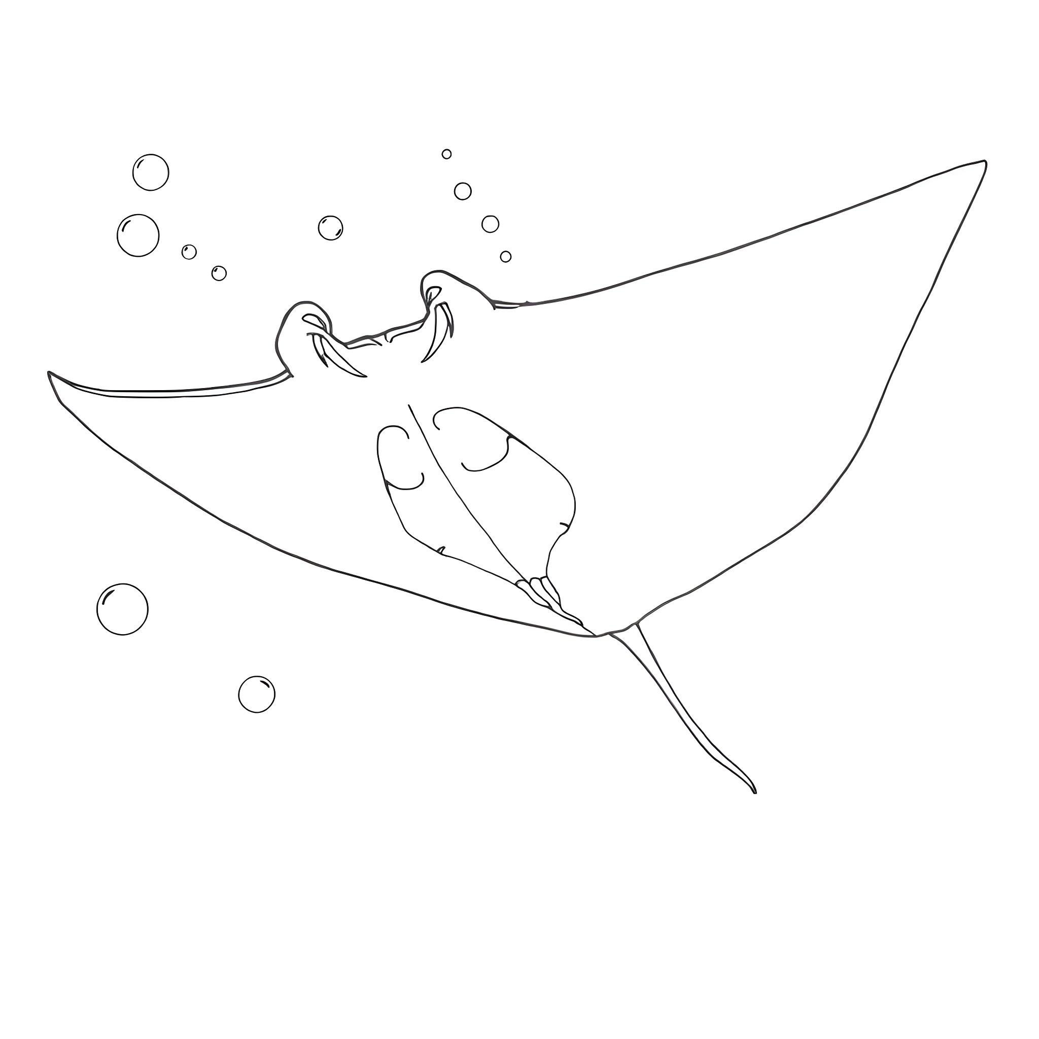 Best Manta Ray Coloring Pages (Free Printable PDF)