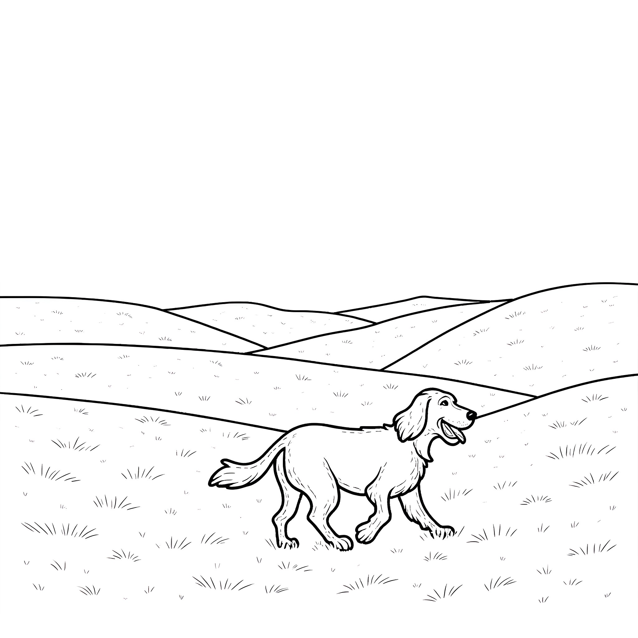 1 Best Cocker Spaniel Coloring Pages (Free Printable PDFs)